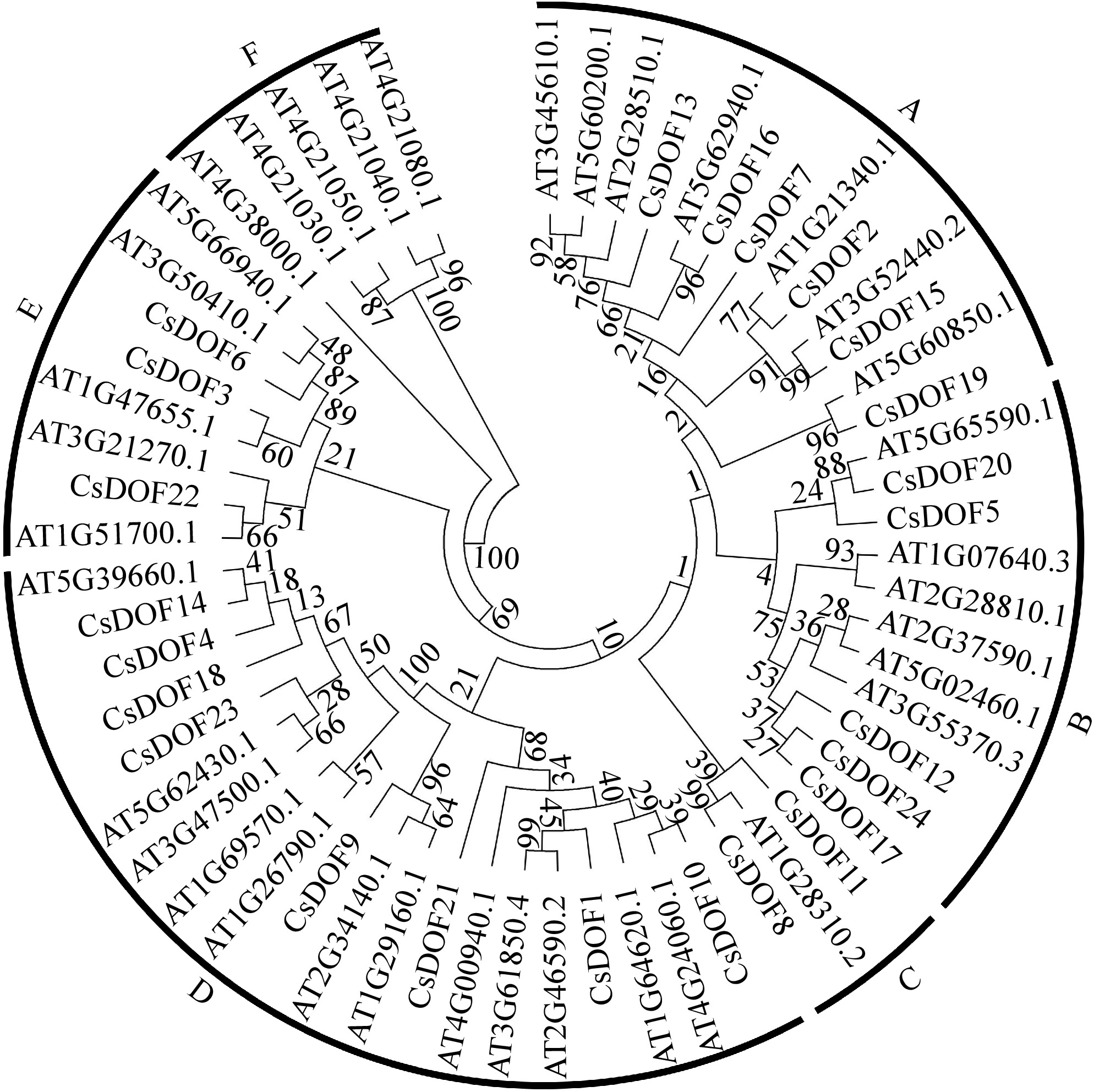 Identification of DNA-binding with one finger (DOF) transcription ...