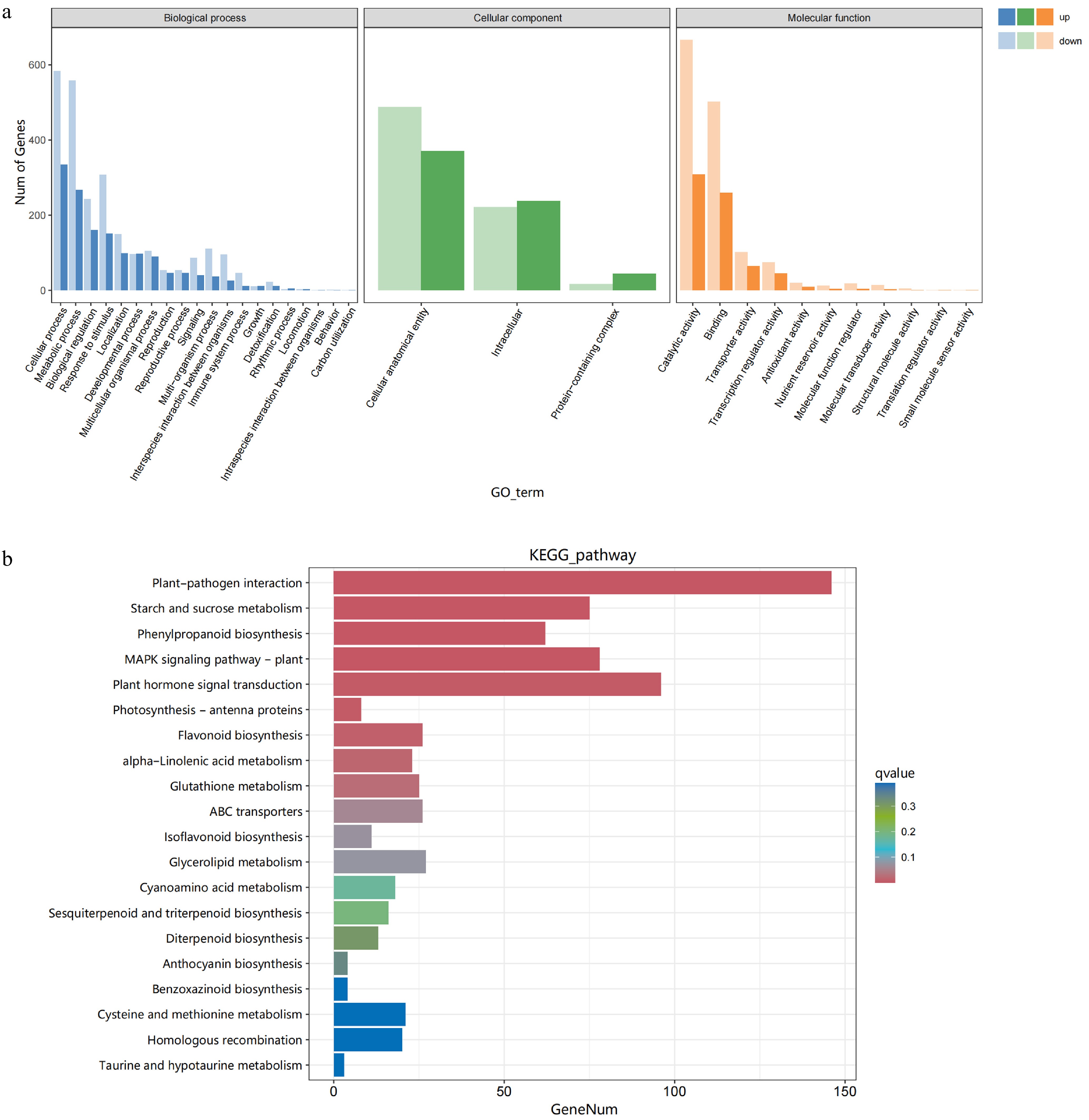 Physiological and transcriptome analysis of Roucongbing disease in ...