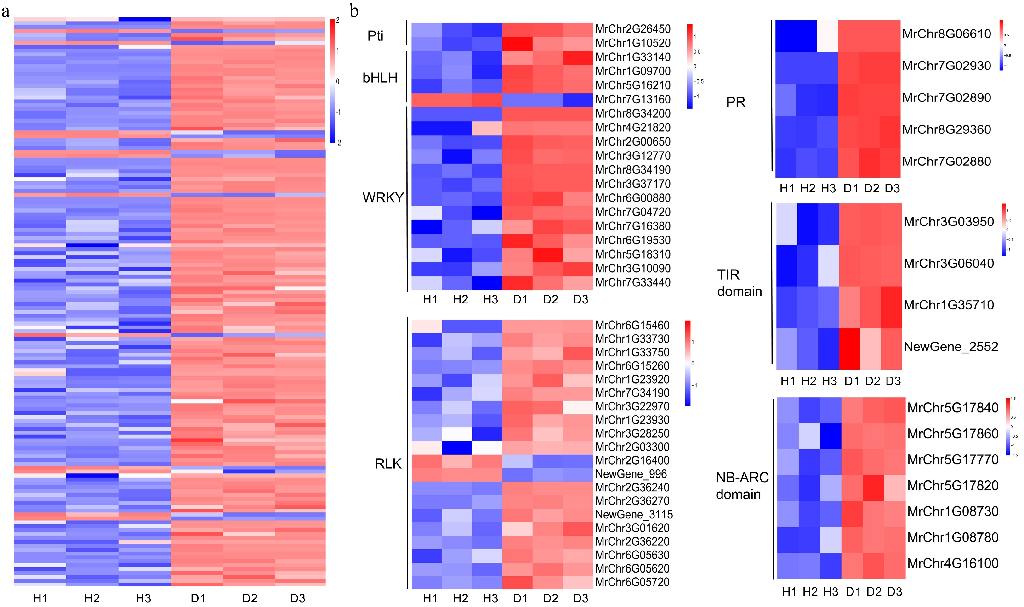 Physiological and transcriptome analysis of Roucongbing disease in ...