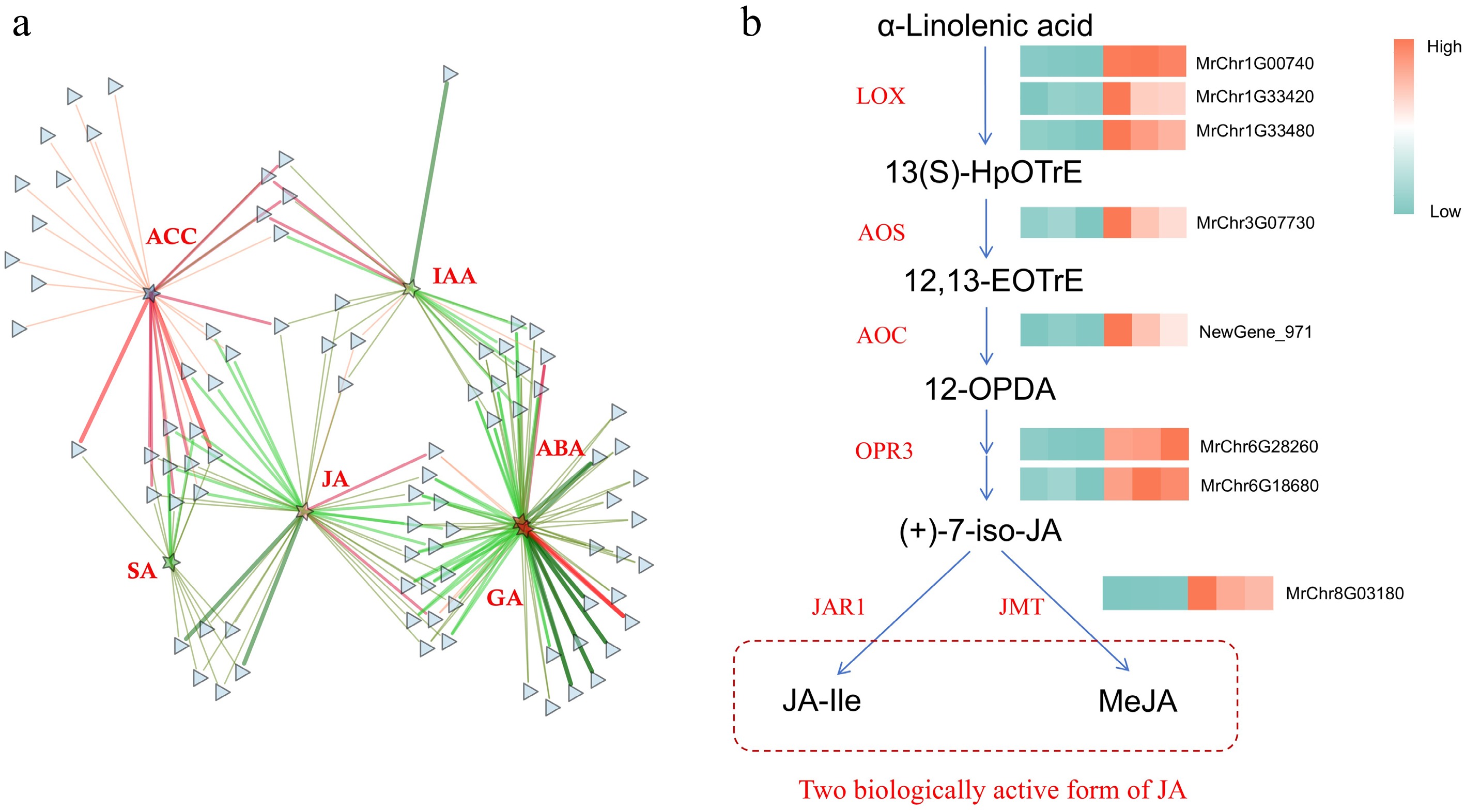 Physiological and transcriptome analysis of Roucongbing disease in ...