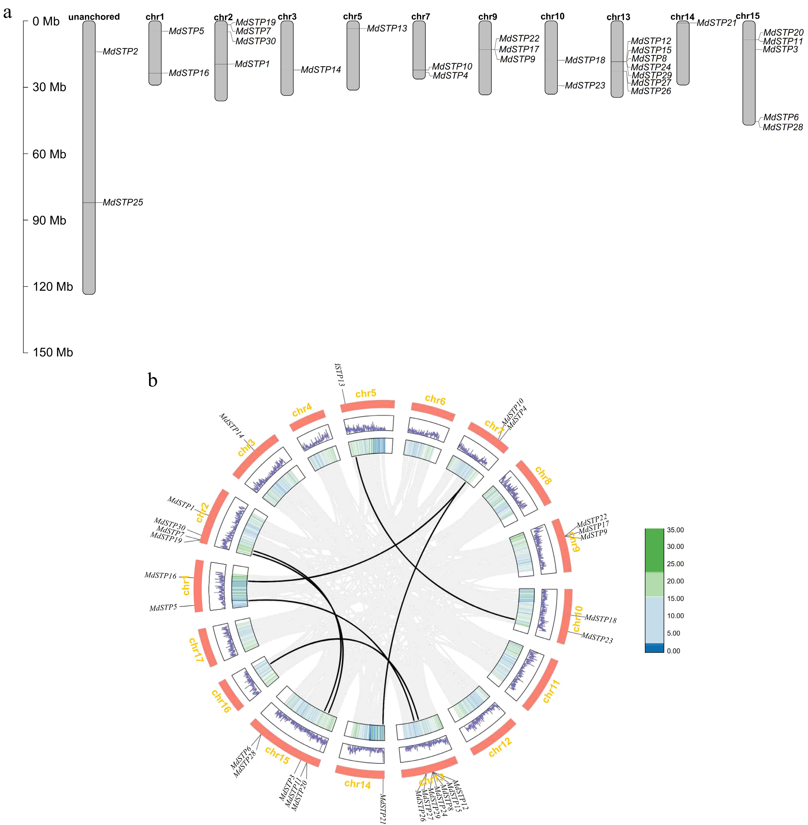 Genome-wide identification and expression analysis of STP gene family ...