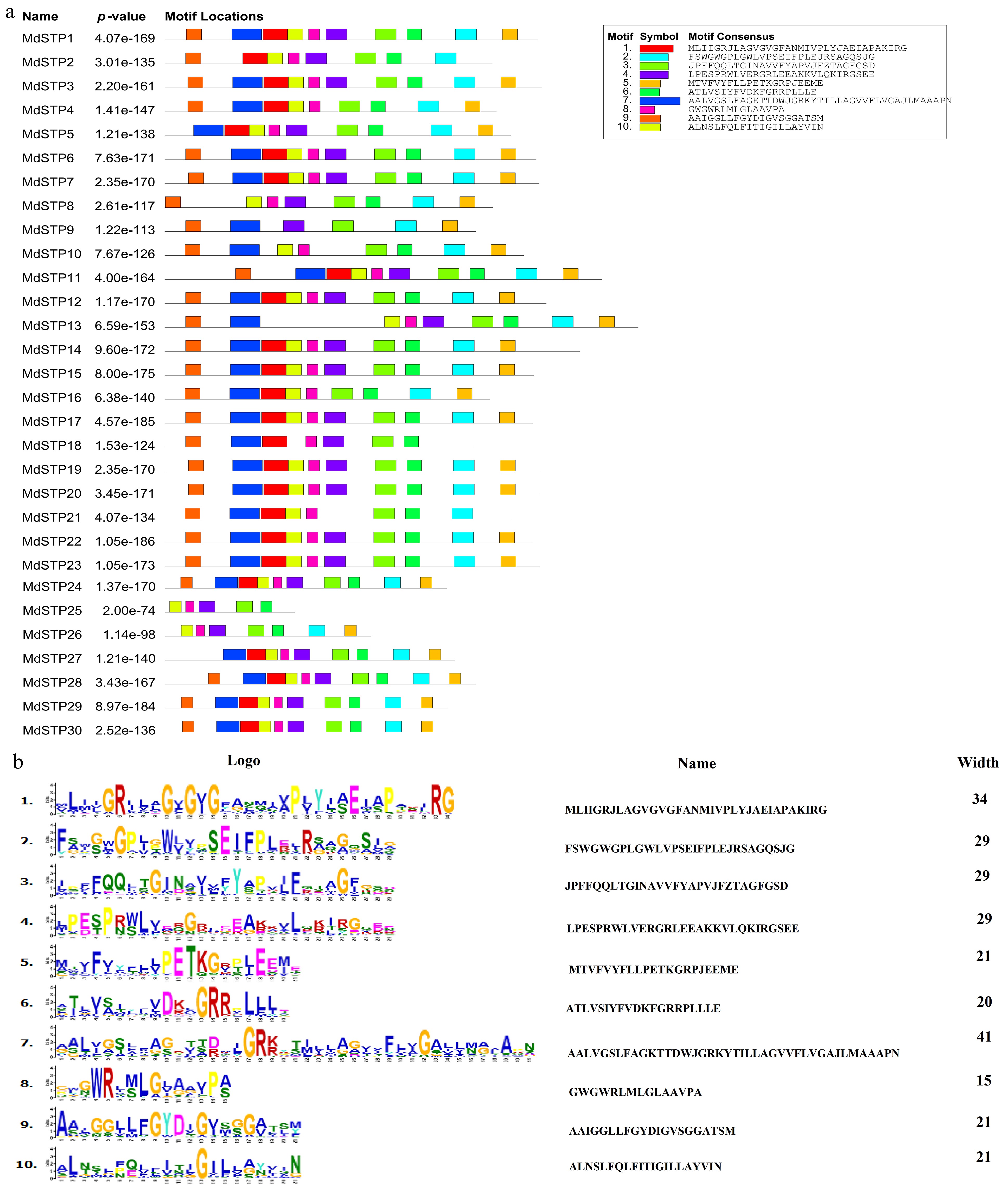 Genome-wide identification and expression analysis of STP gene family ...