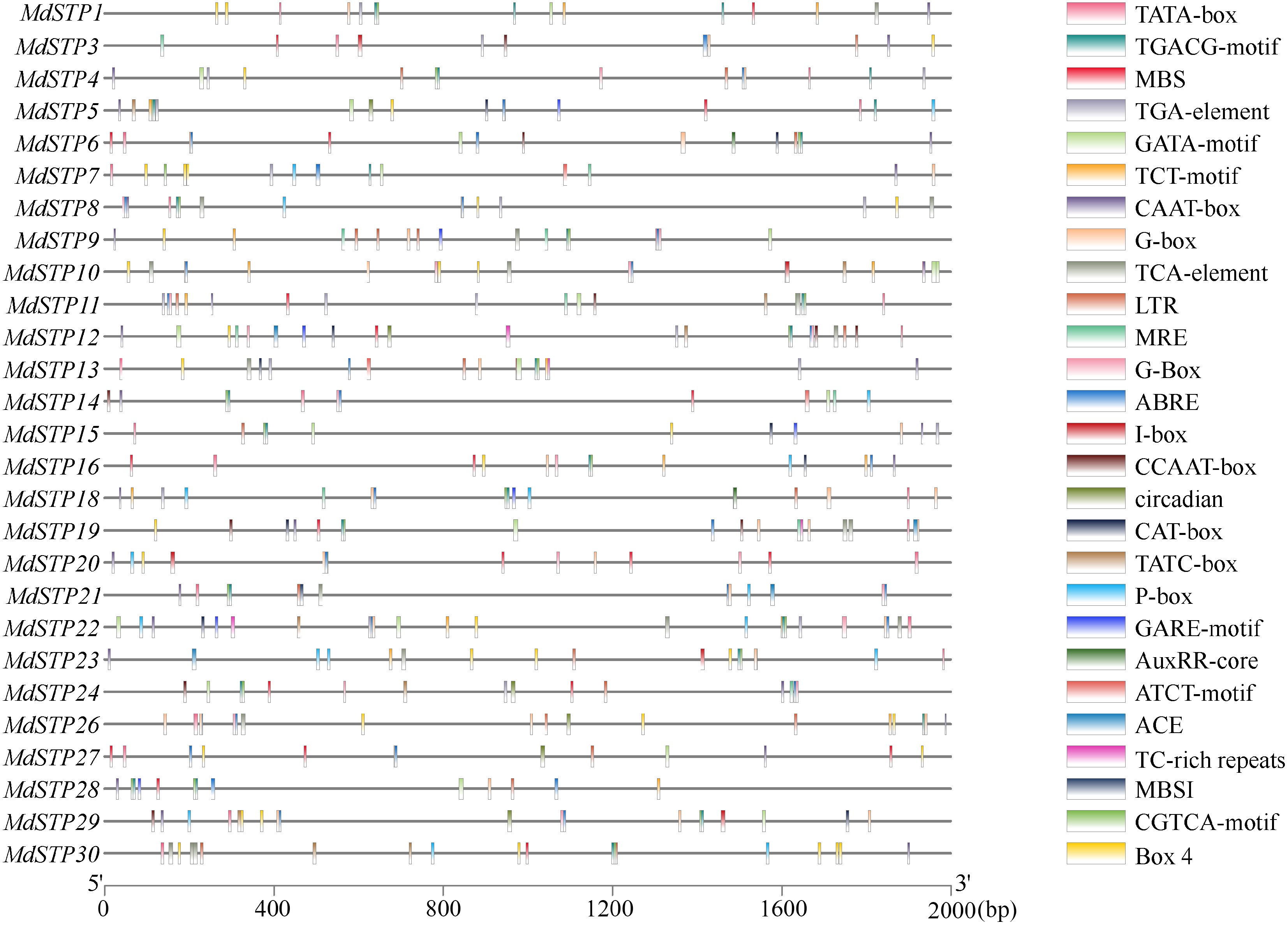 Genome-wide identification and expression analysis of STP gene family ...