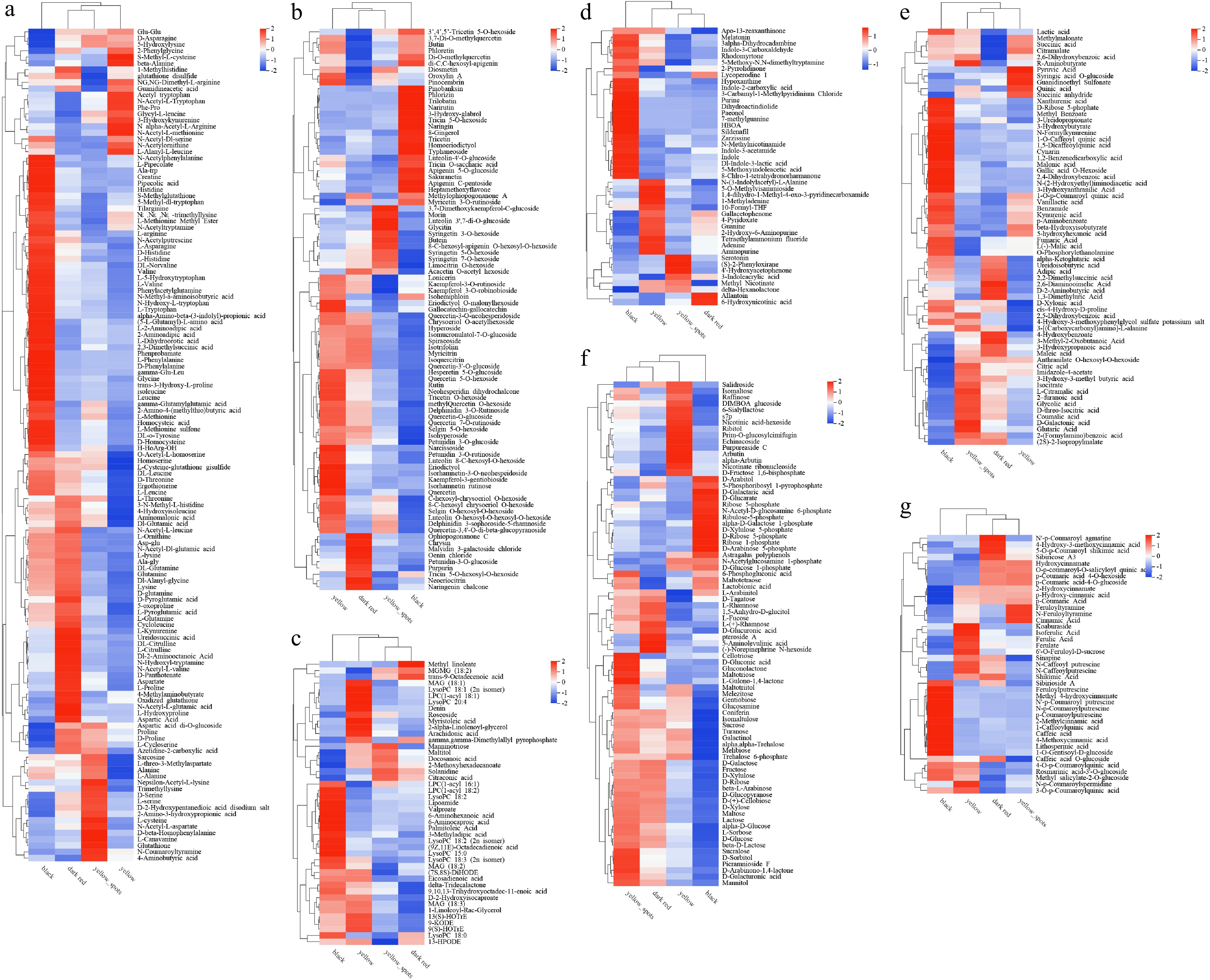 Metabolite characteristics and molecular mechanism of different fruit ...