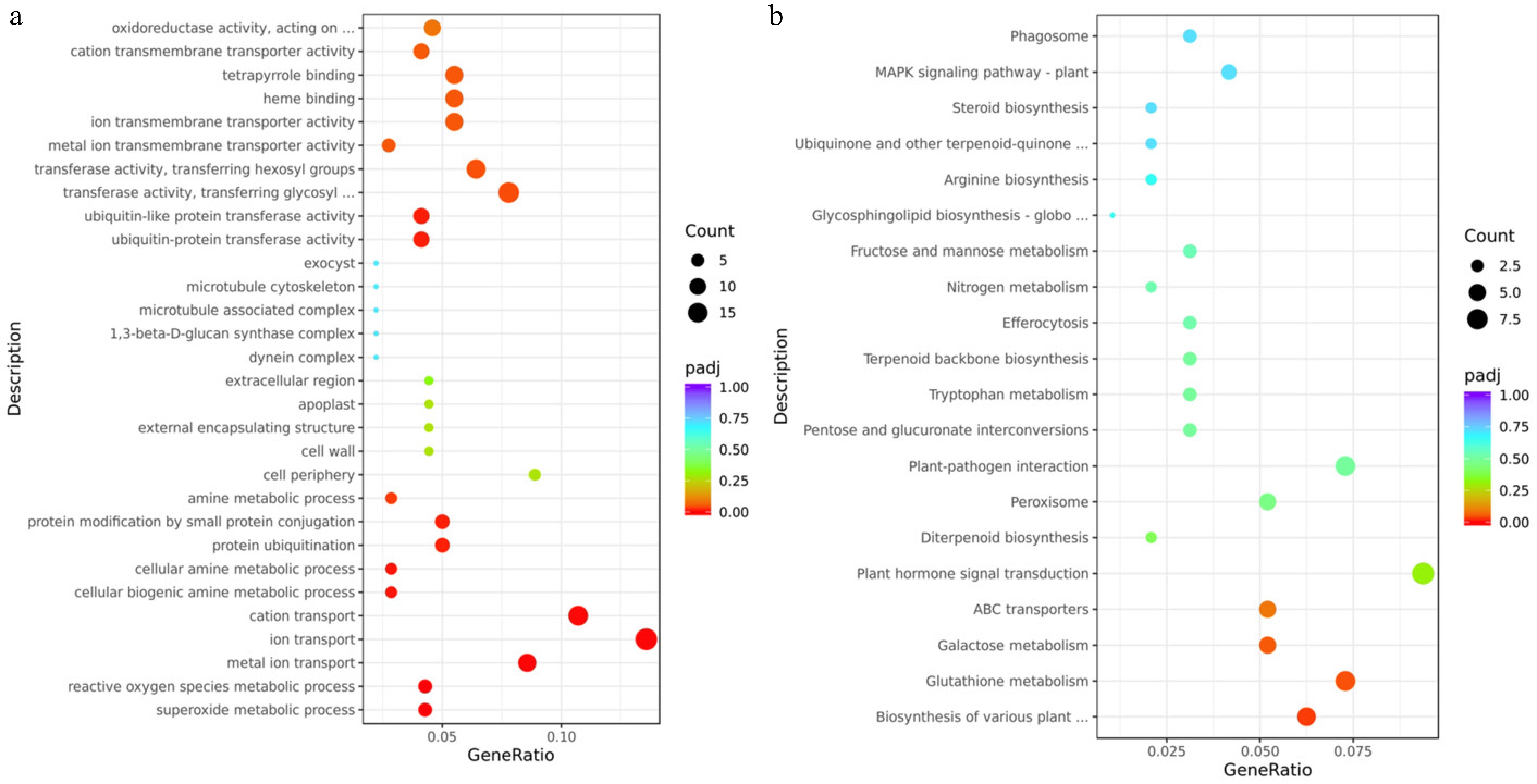 Physiological and molecular insights into peel thickness variation ...