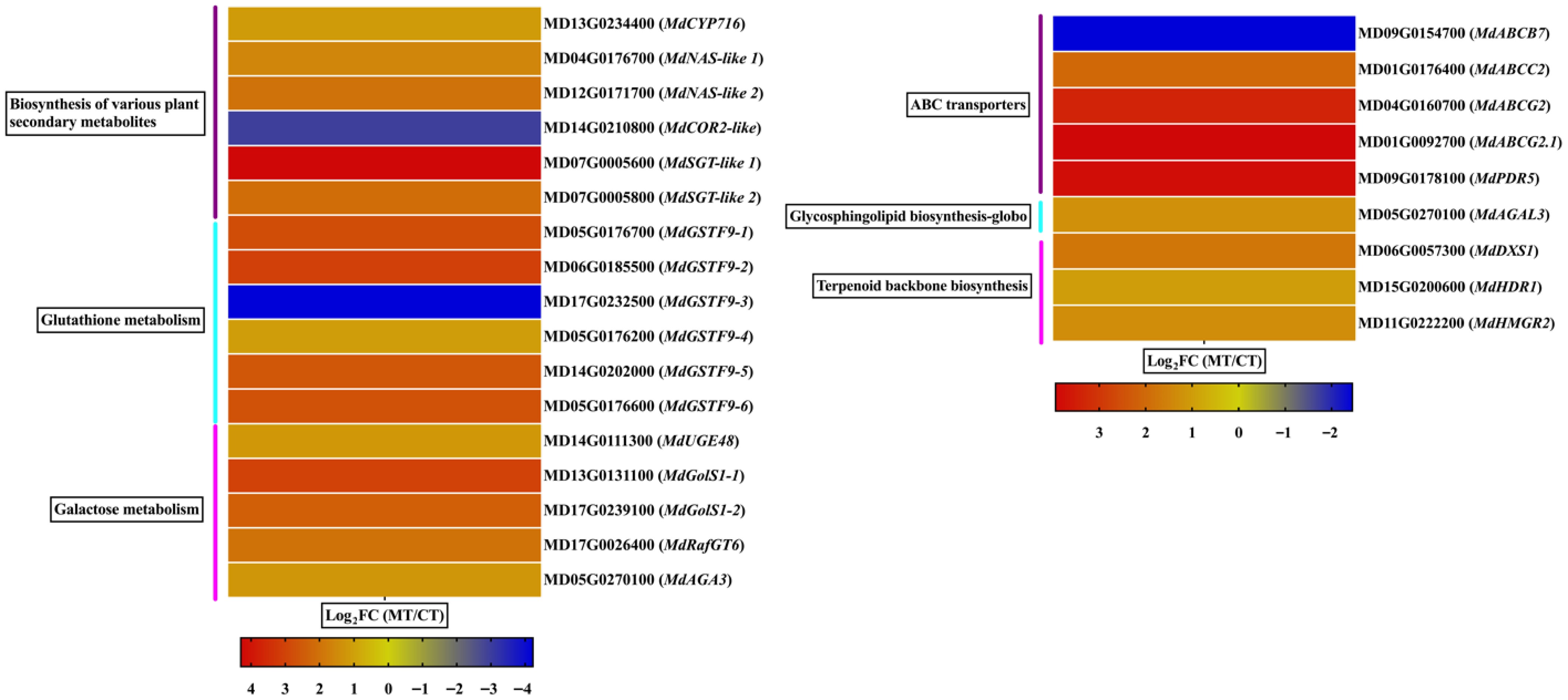 Physiological and molecular insights into peel thickness variation ...