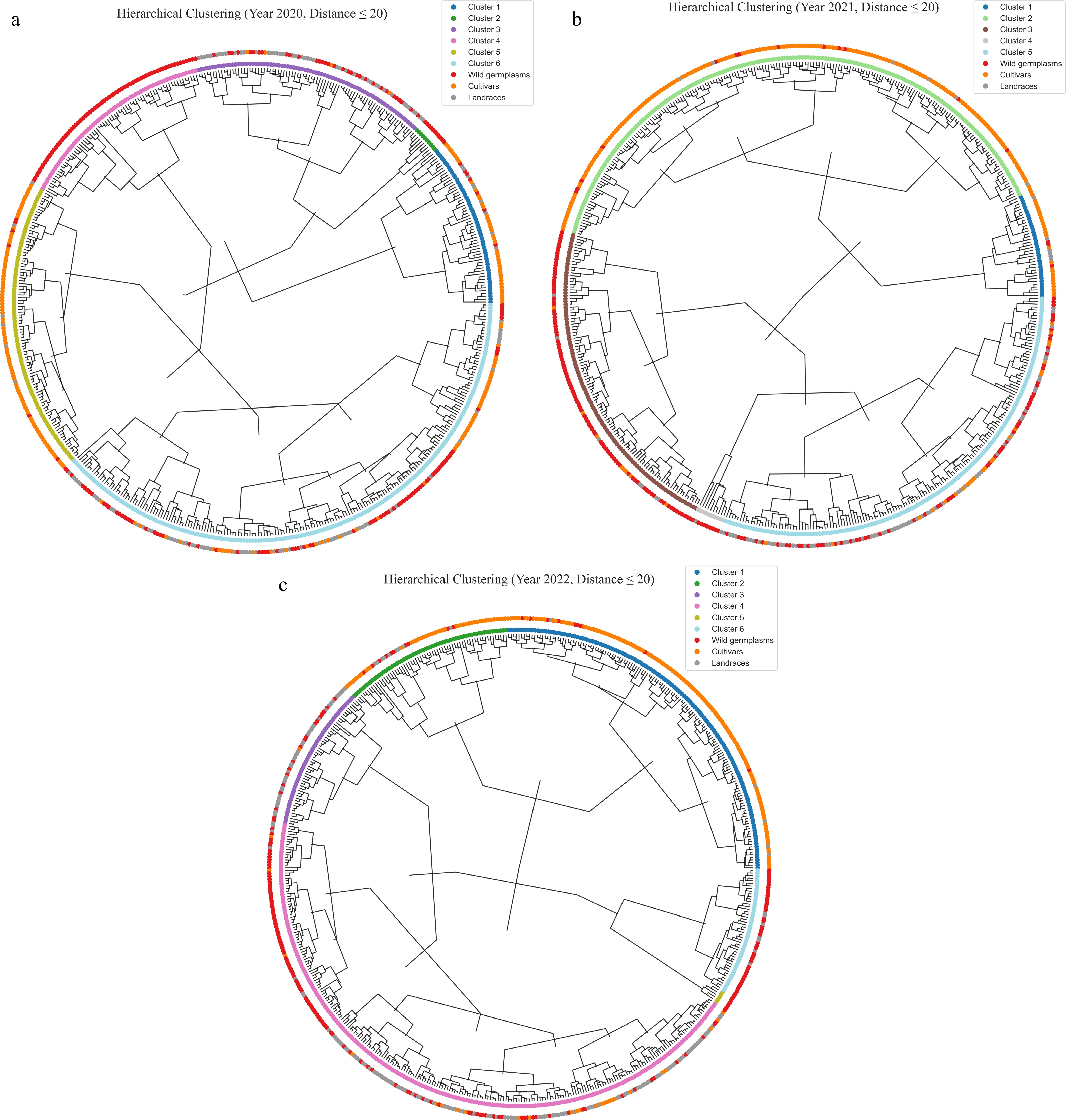 Phenotypic variations in fruit traits among different Malus germplasm types