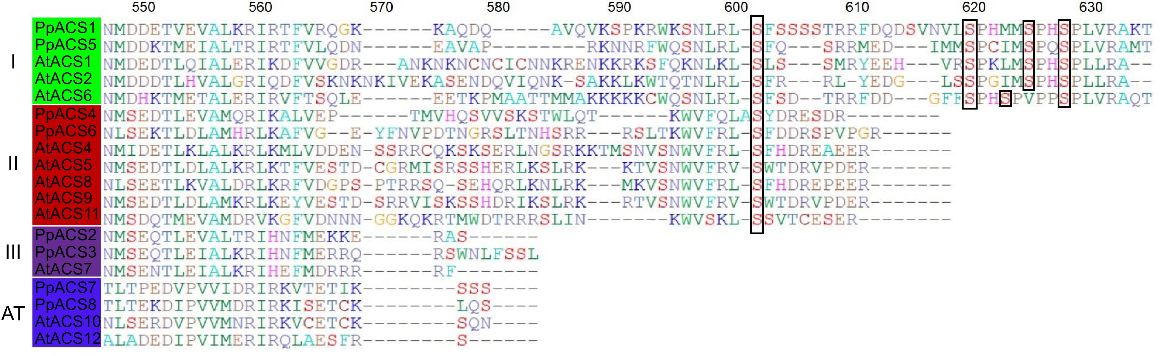 Genome-wide identification and expression pattern analysis of the ACS ...