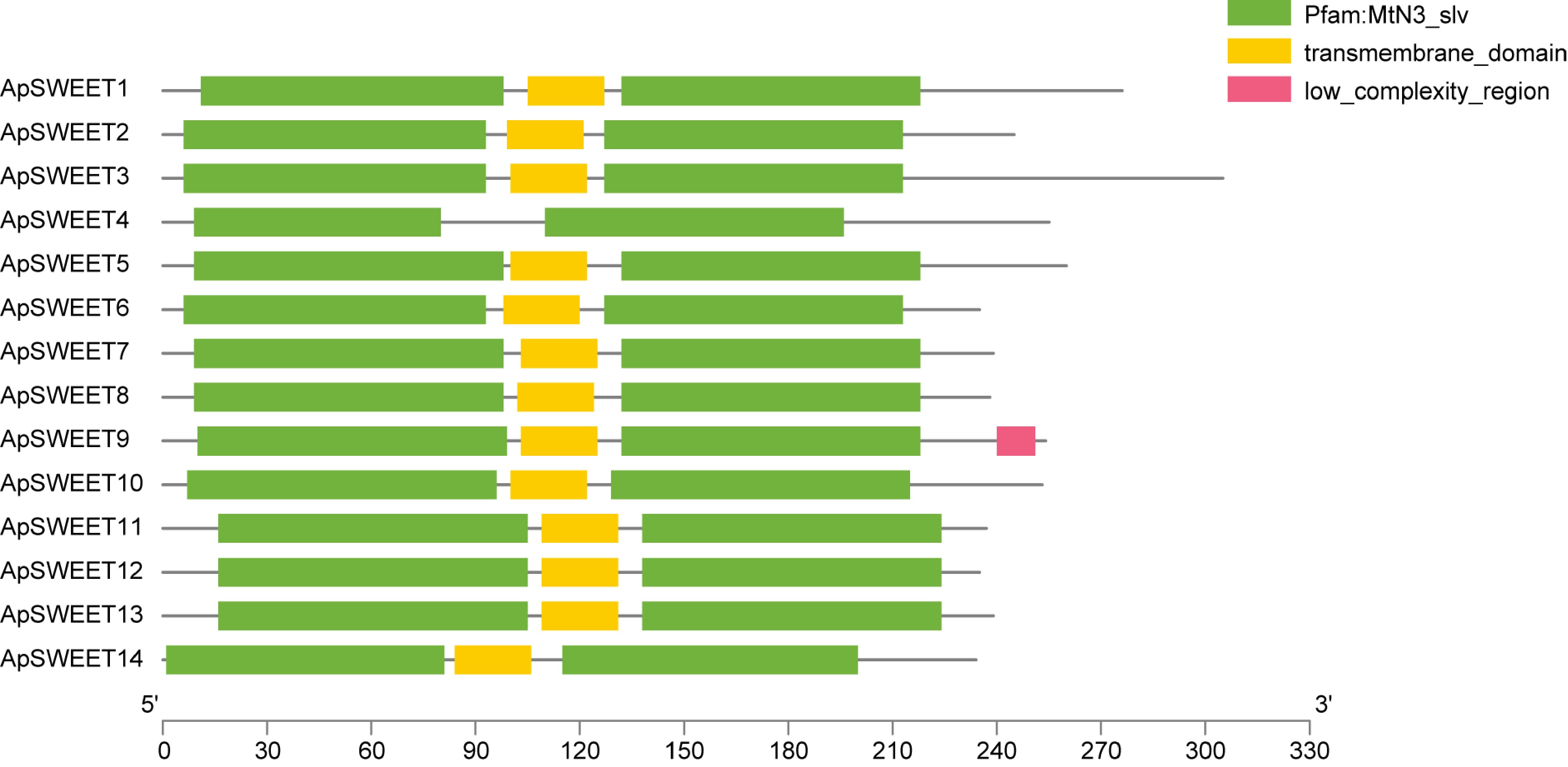 Genome-wide identification and expression profiling of the SWEET family ...