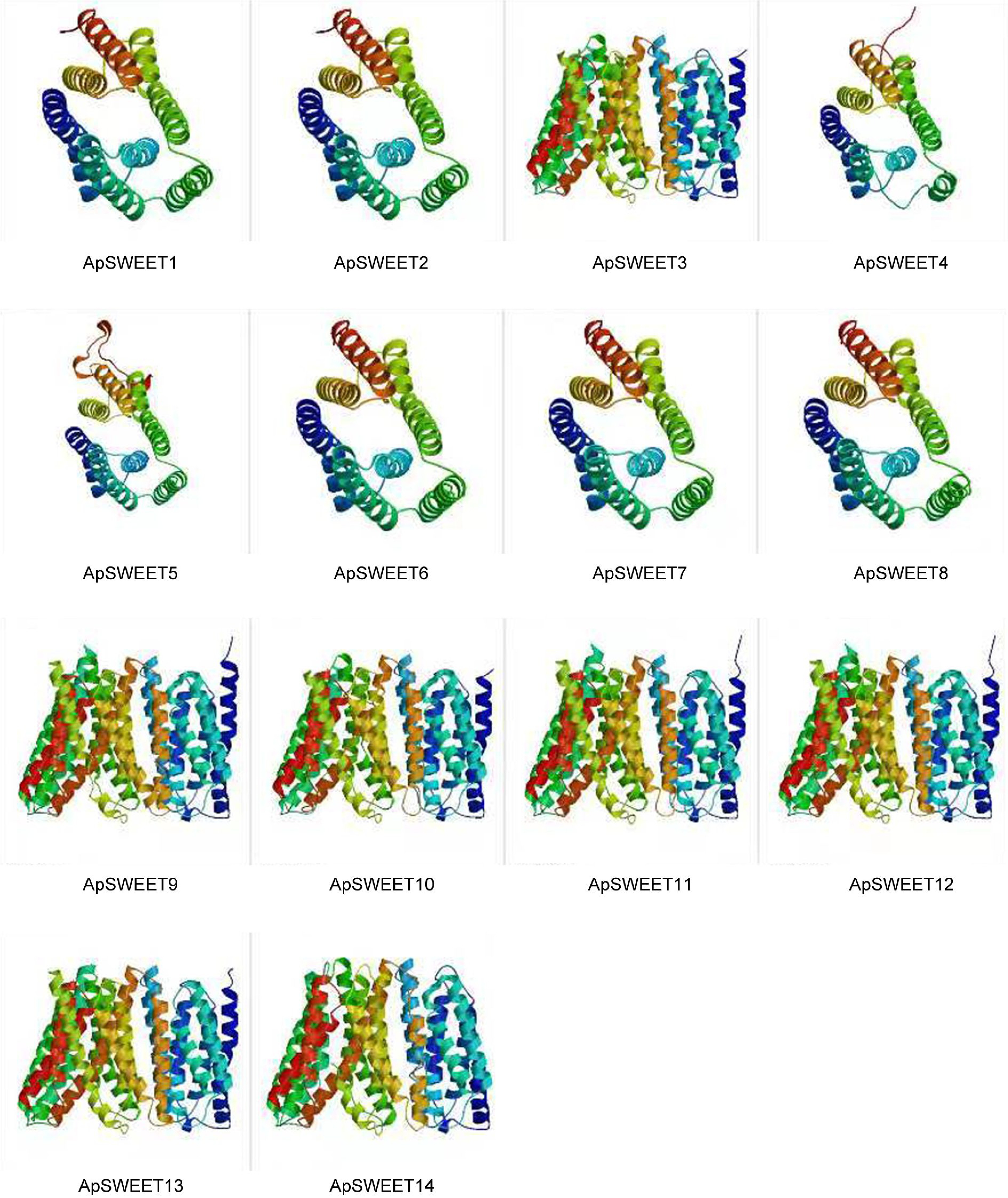 Genome-wide identification and expression profiling of the SWEET family ...