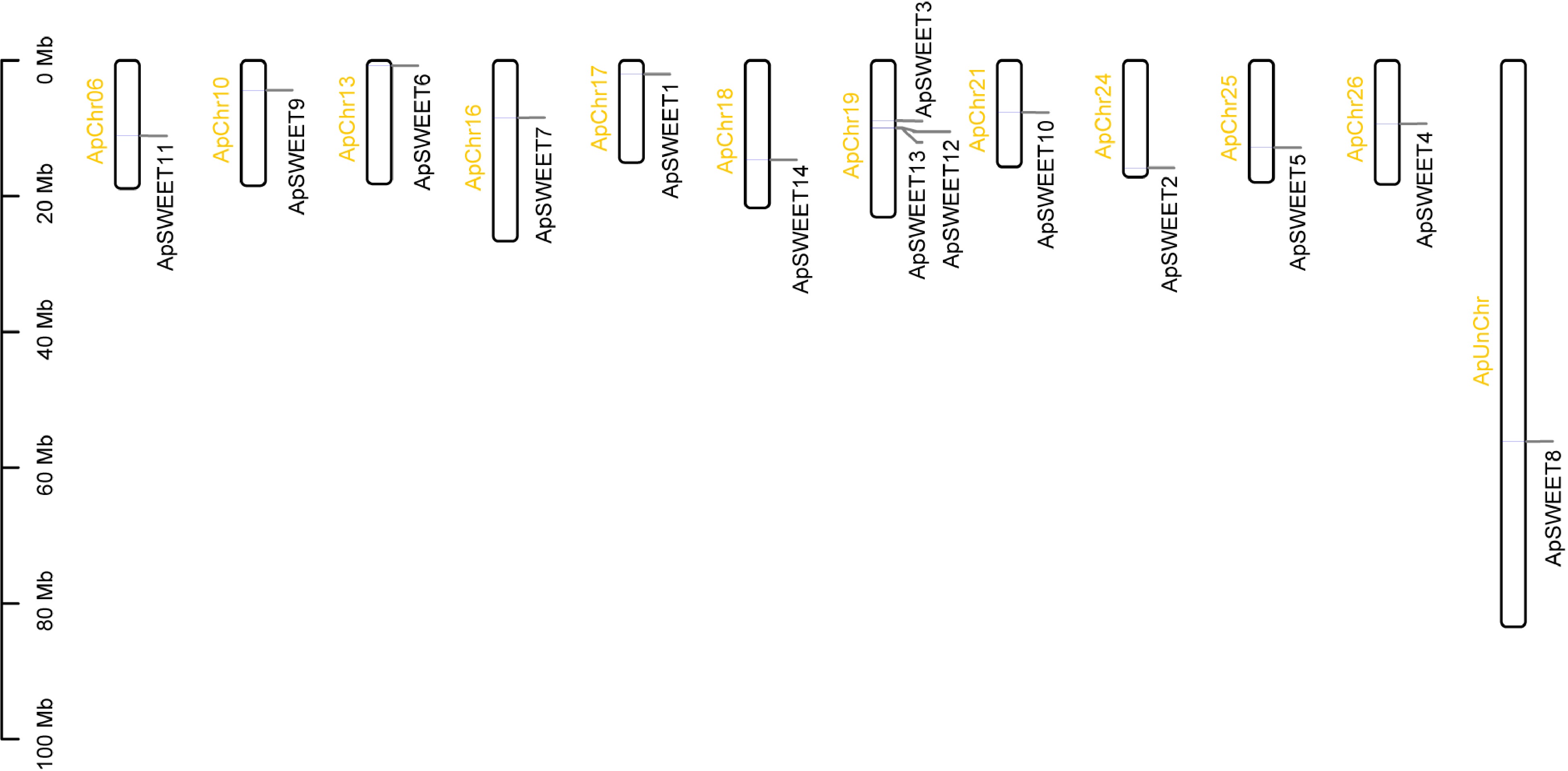 Genome-wide identification and expression profiling of the SWEET family ...