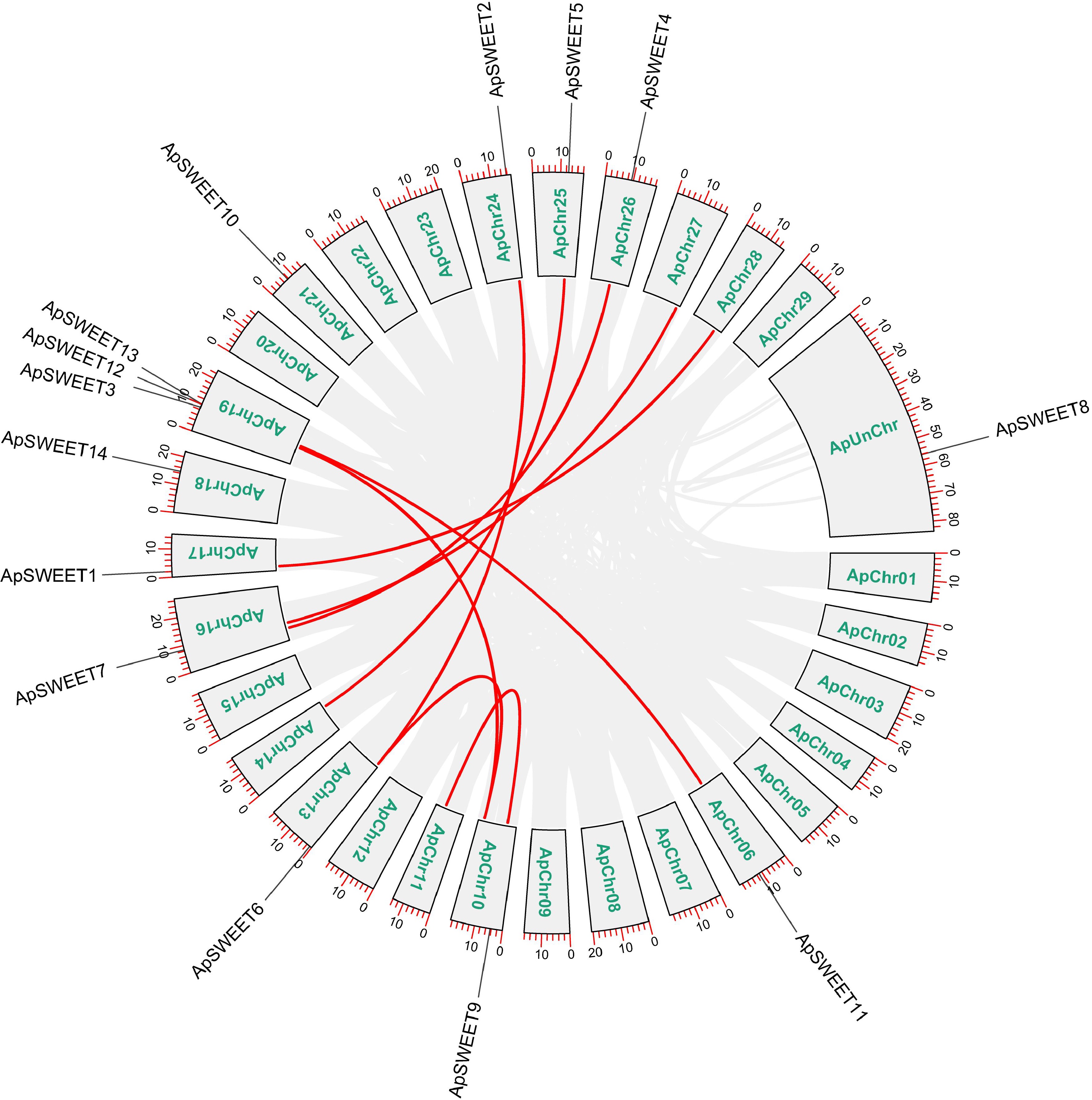 Genome-wide identification and expression profiling of the SWEET family ...