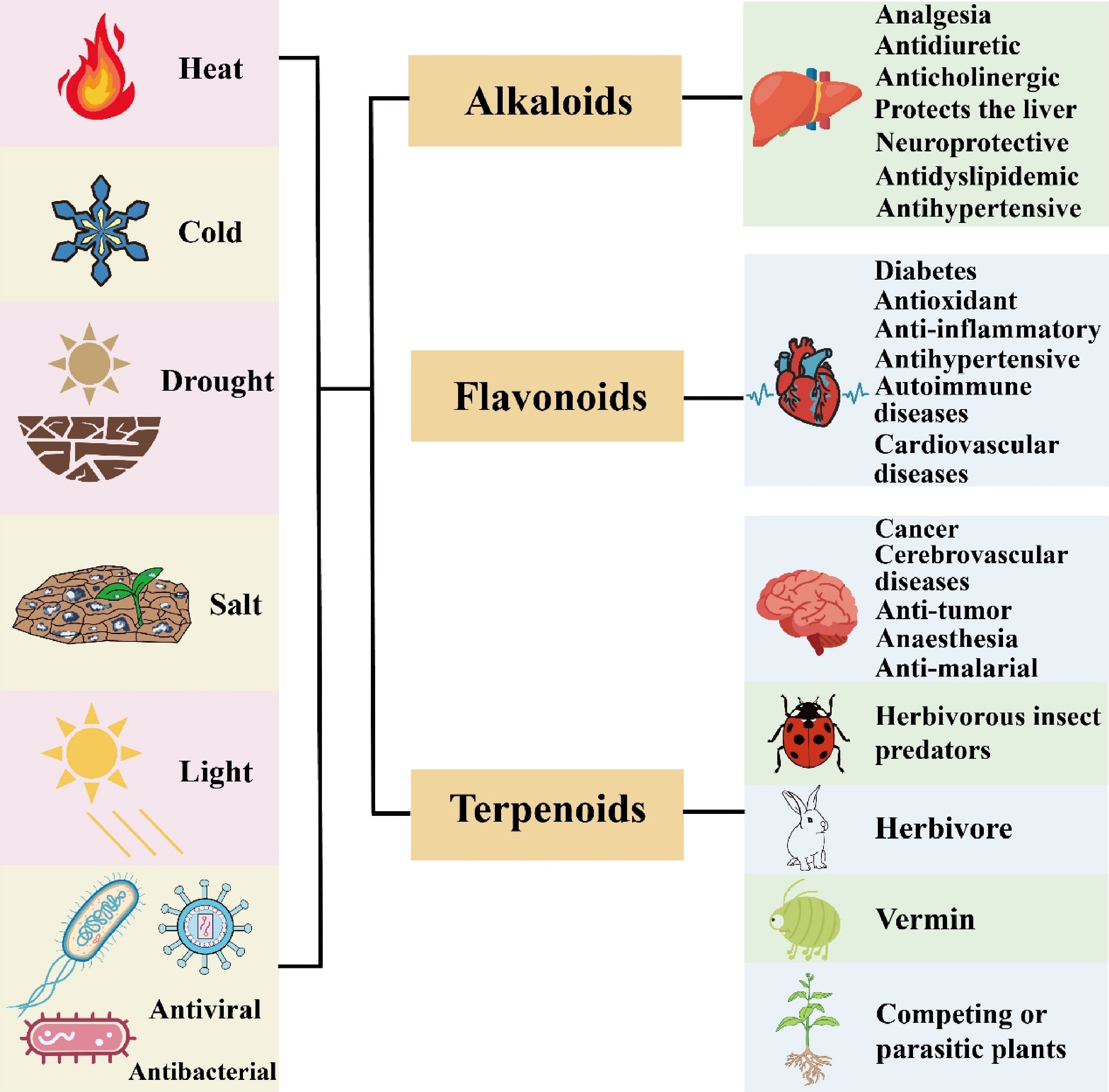 The function of secondary metabolites in resisting stresses in ...