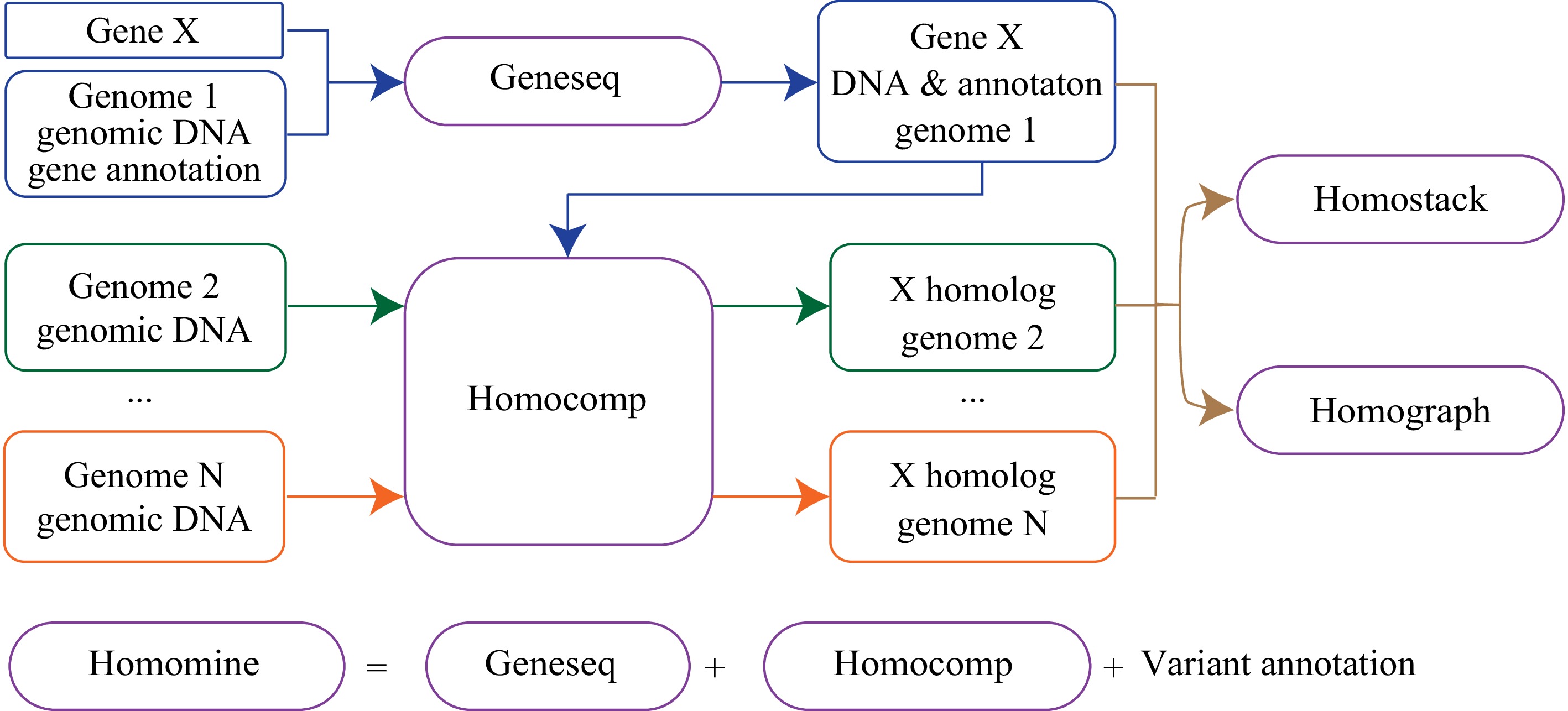 Homotools a suite of genomic tools for homologous retrieval and comparison