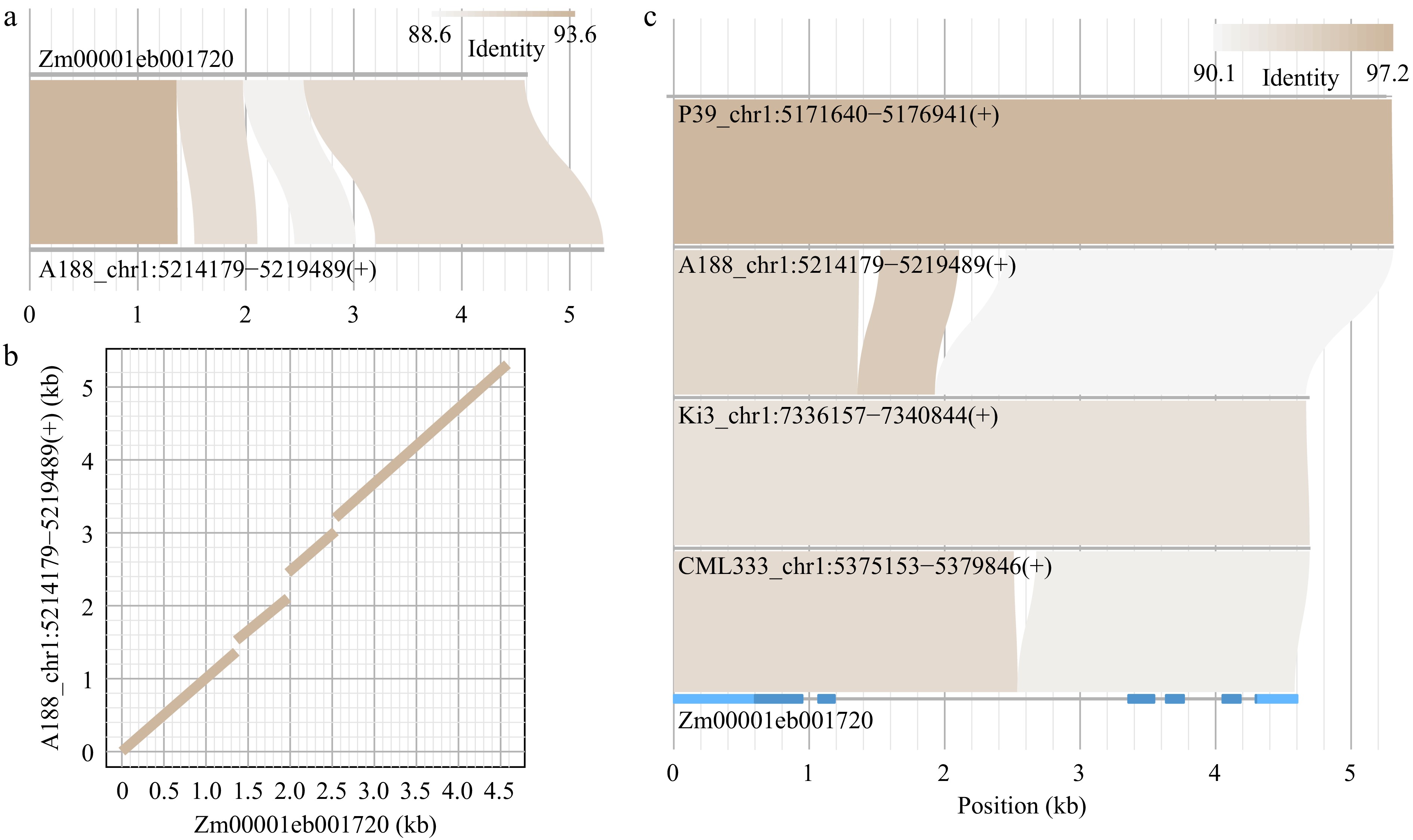 Homotools a suite of genomic tools for homologous retrieval and comparison