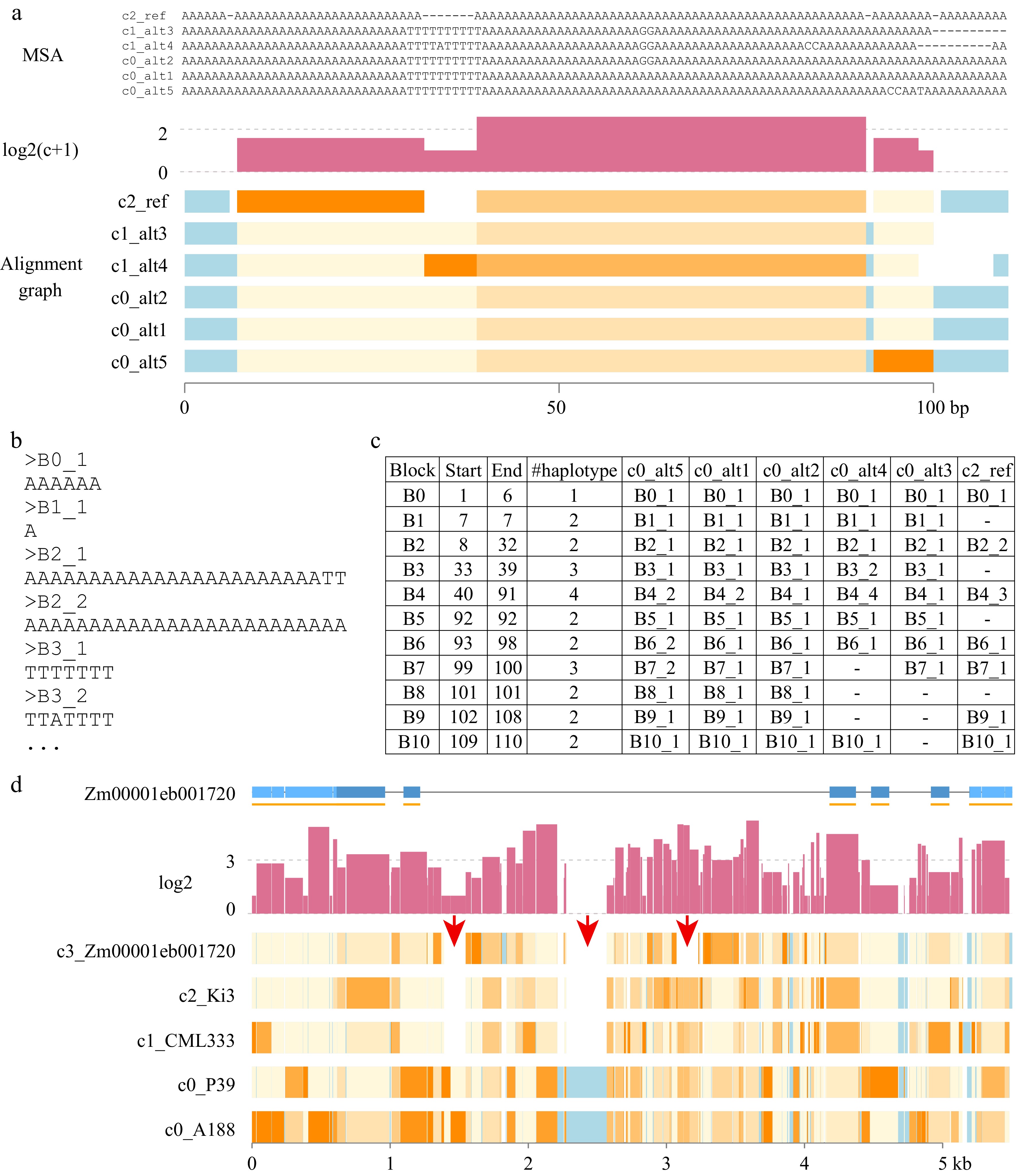 Homotools a suite of genomic tools for homologous retrieval and comparison