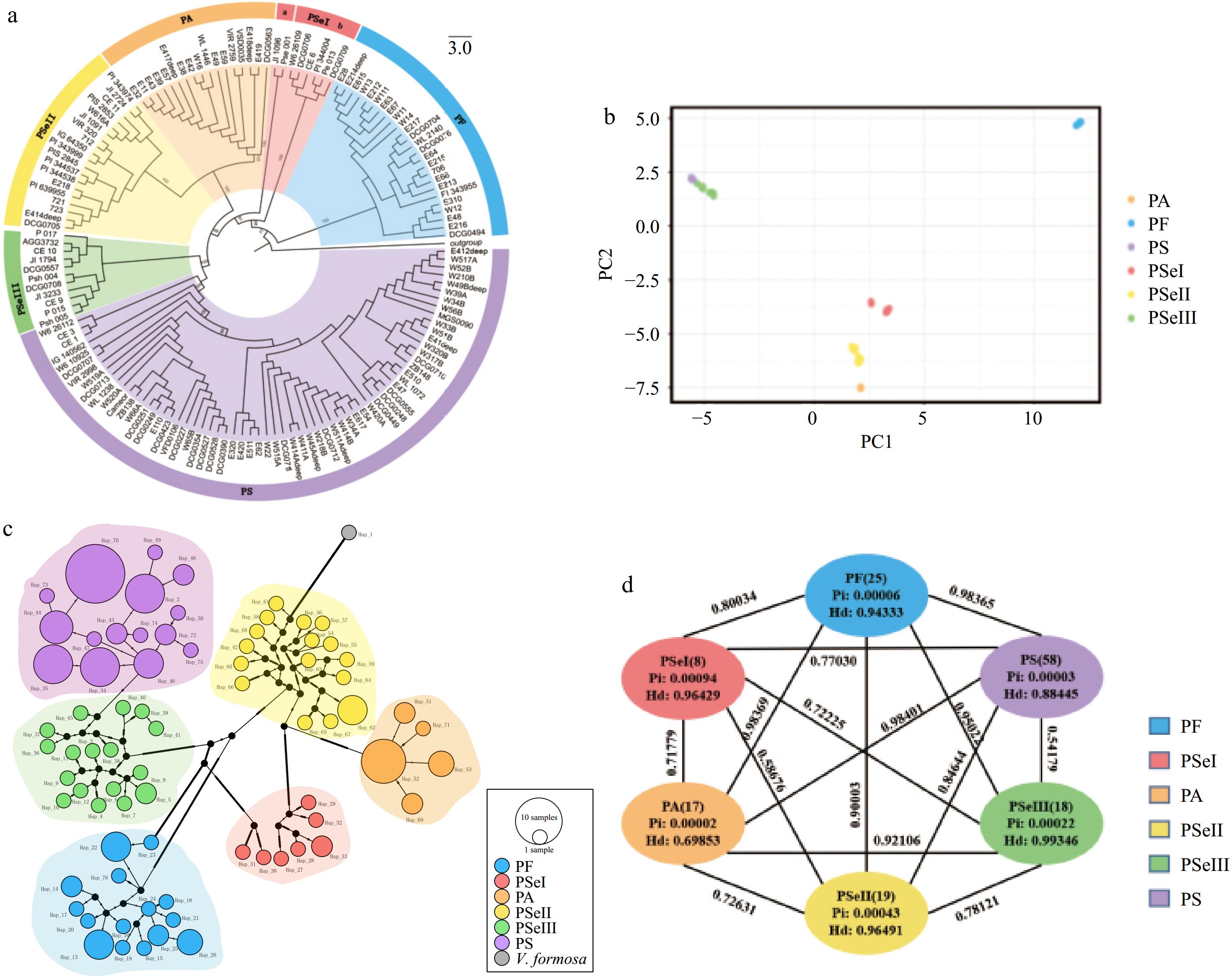 The Mendelian pea pan-plastome insights into genomic structure ...