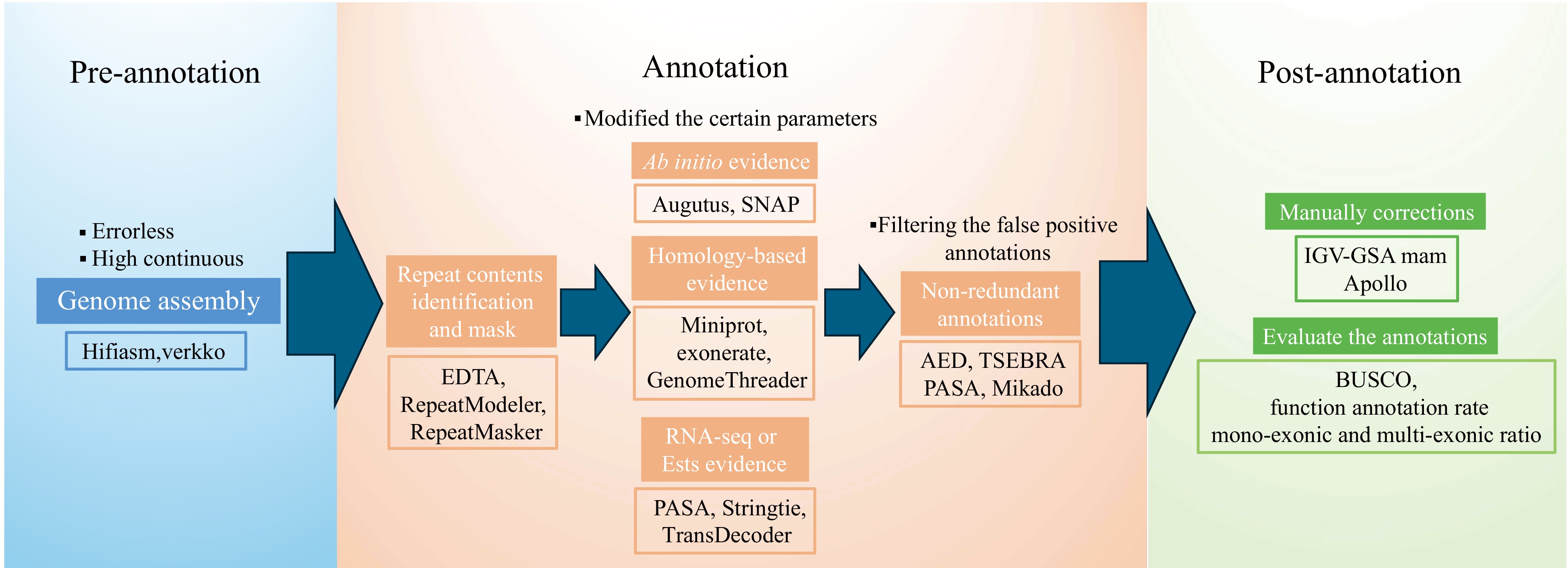 Tips for improving genome annotation quality