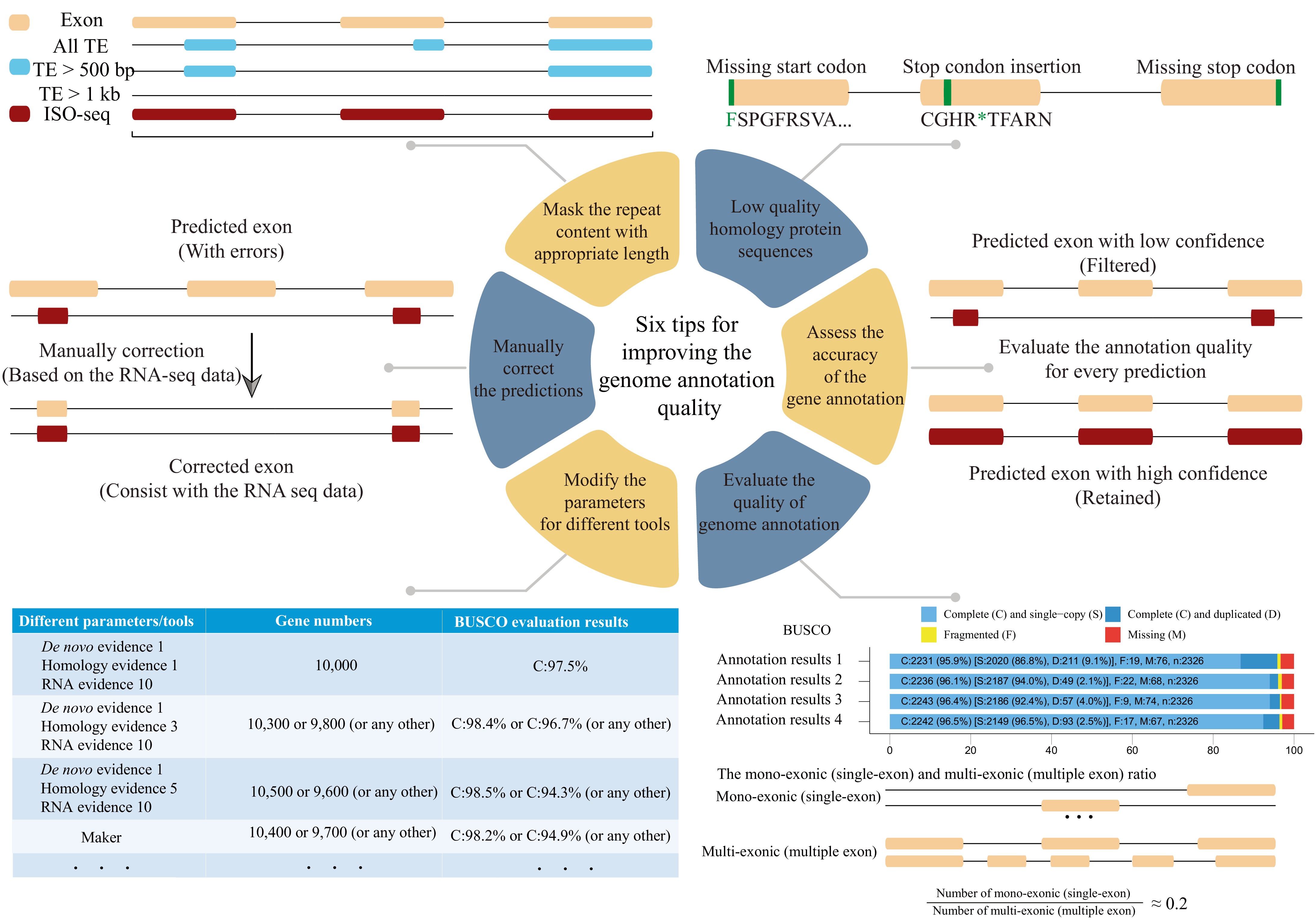 Tips for improving genome annotation quality