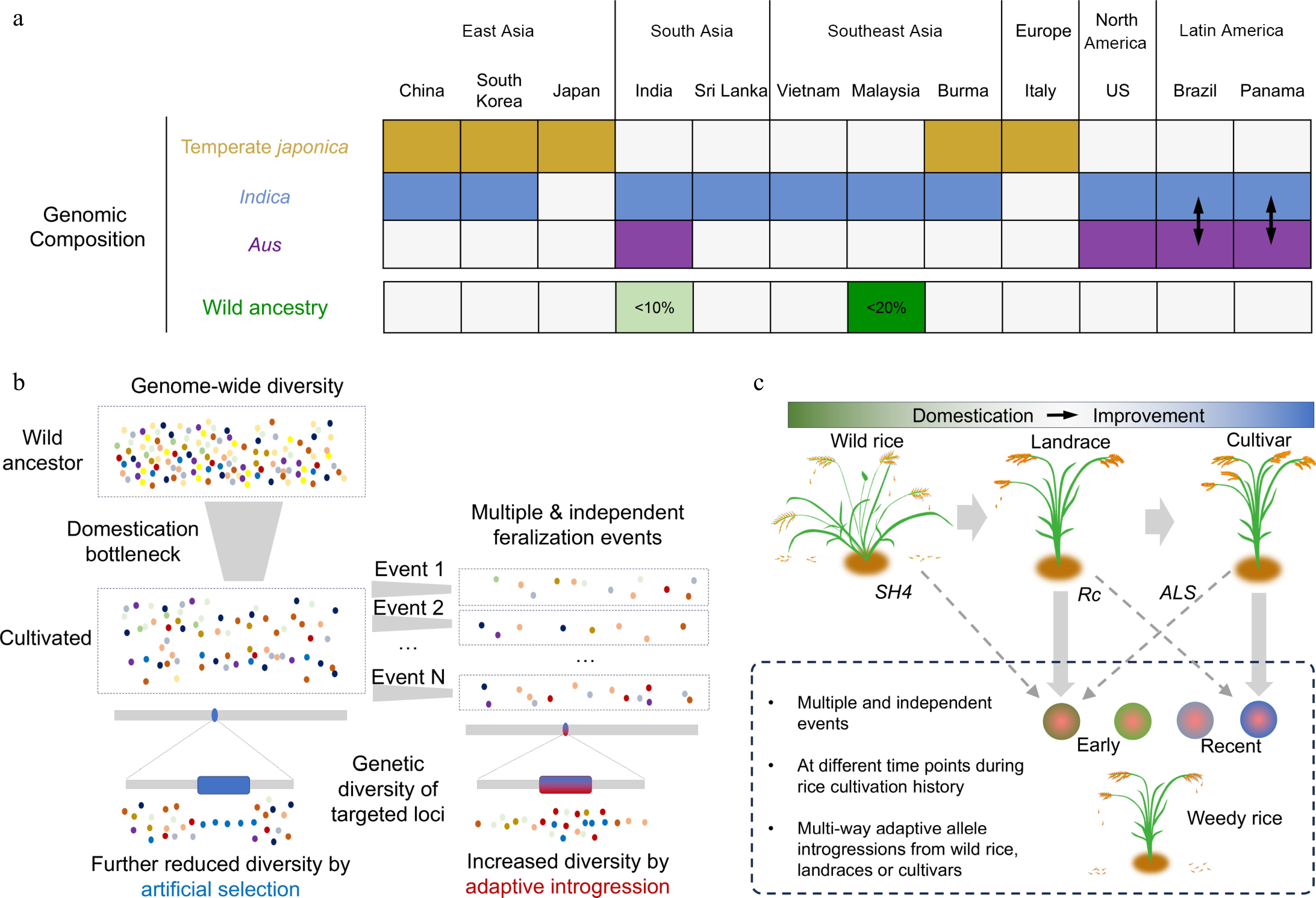 Deciphering rice feralization insights from genomics of weedy rice