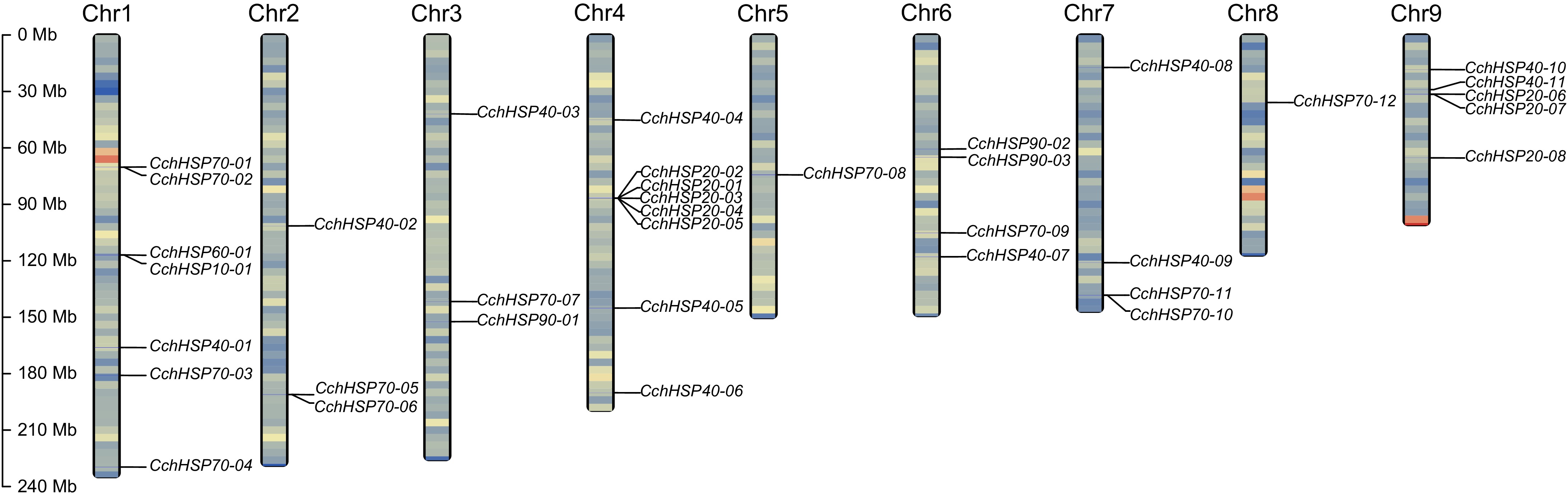 Comprehensive genomic profiling and expression dynamics of the HSP gene ...
