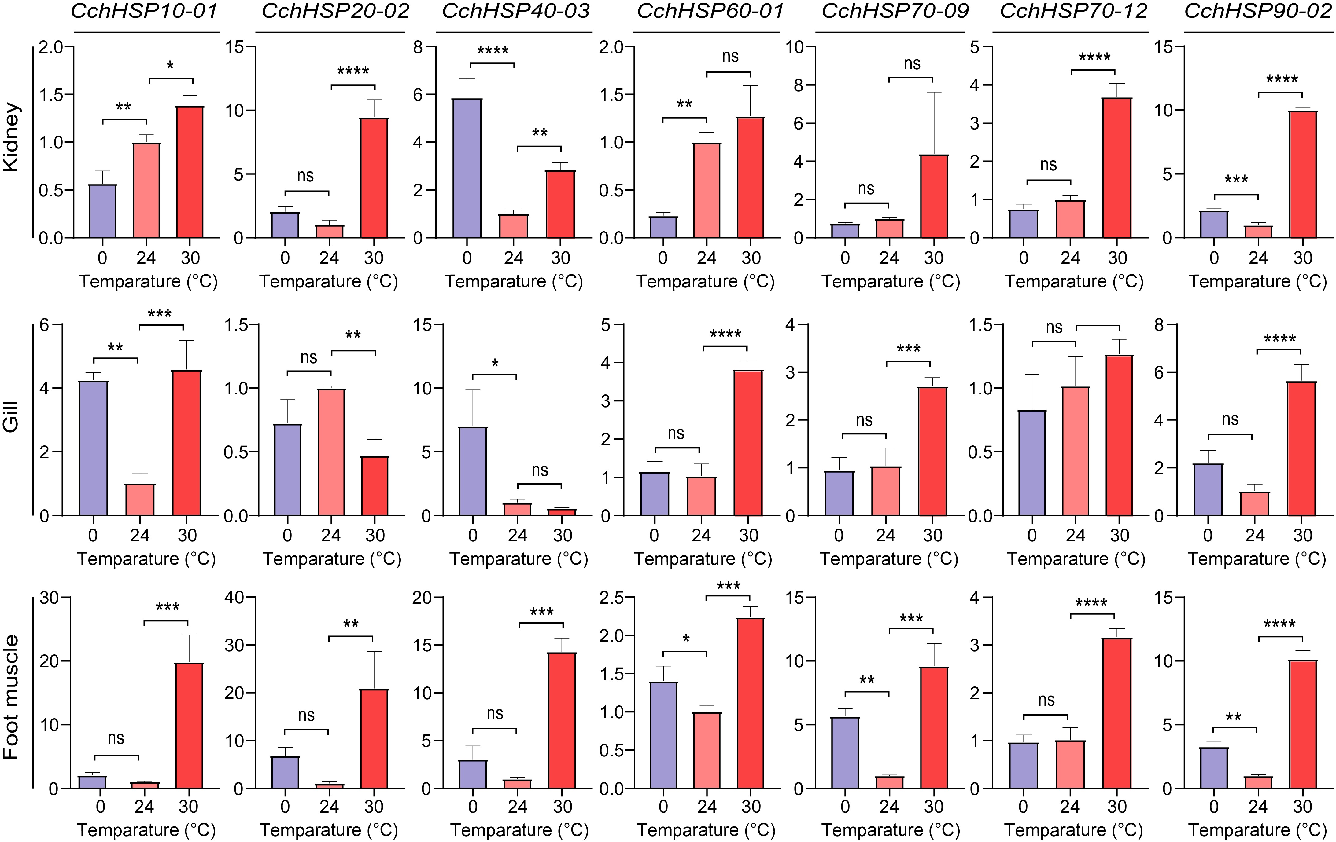Comprehensive genomic profiling and expression dynamics of the HSP gene ...