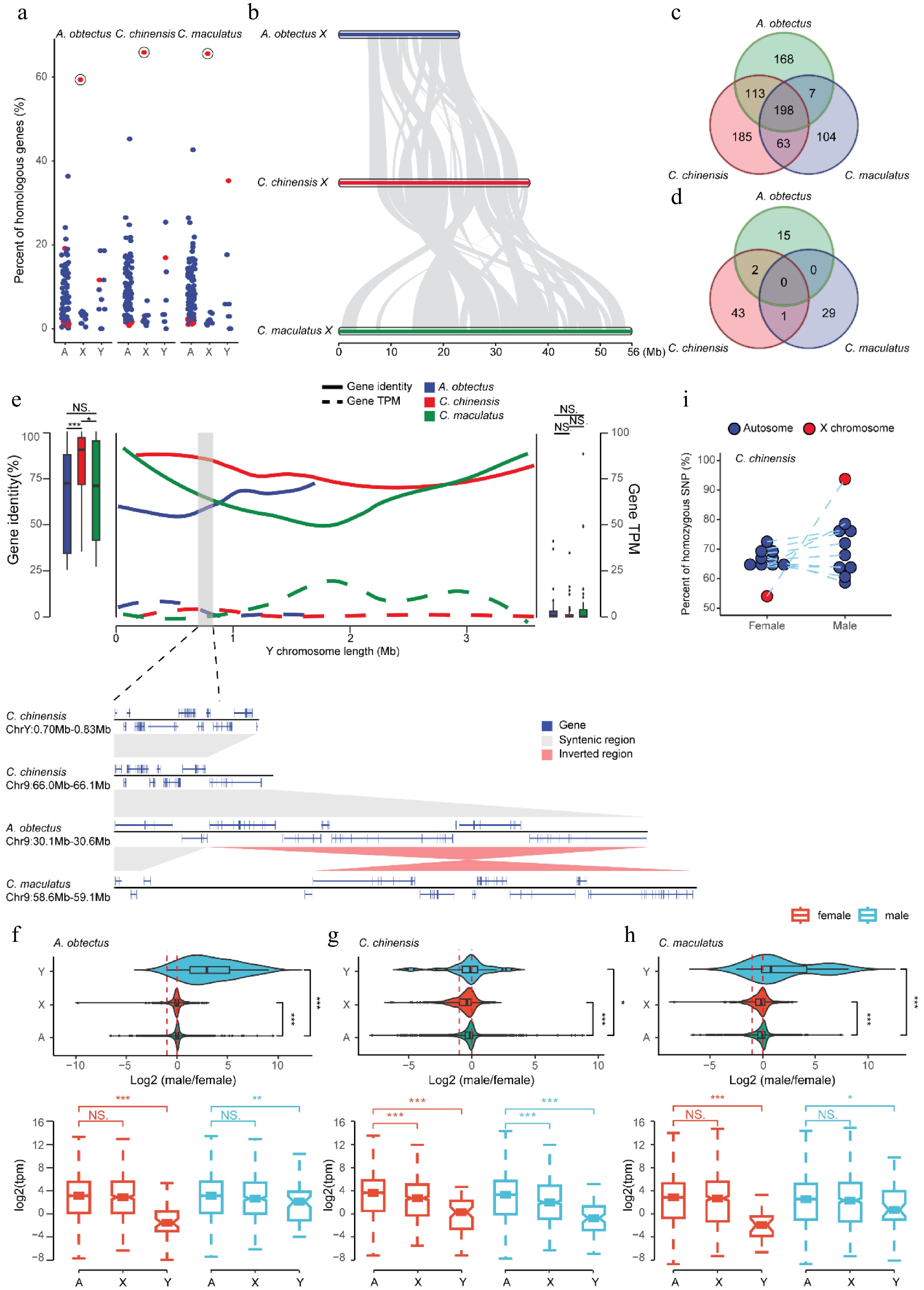 Chromosome-level genomes of Bruchinae reveal the rapid evolution of sex chromosomes and sex ...