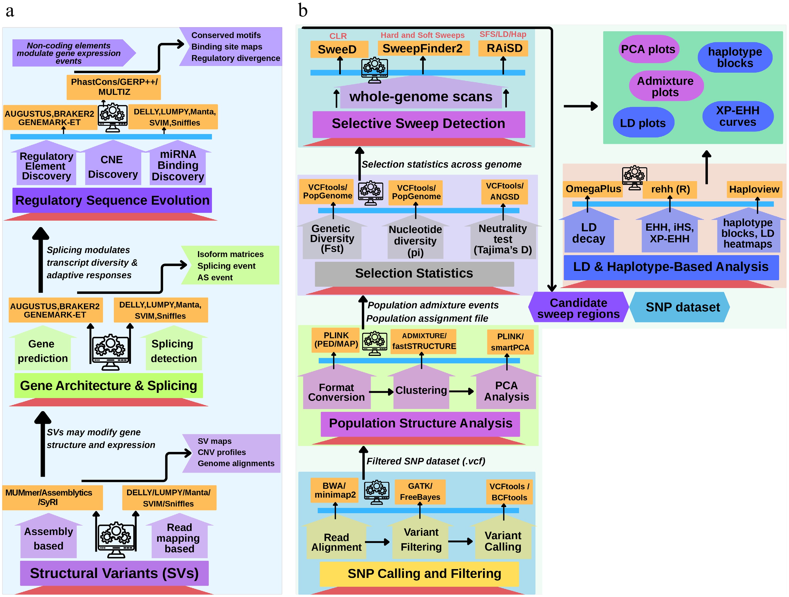 Surges and insights from the genomics of insect pests