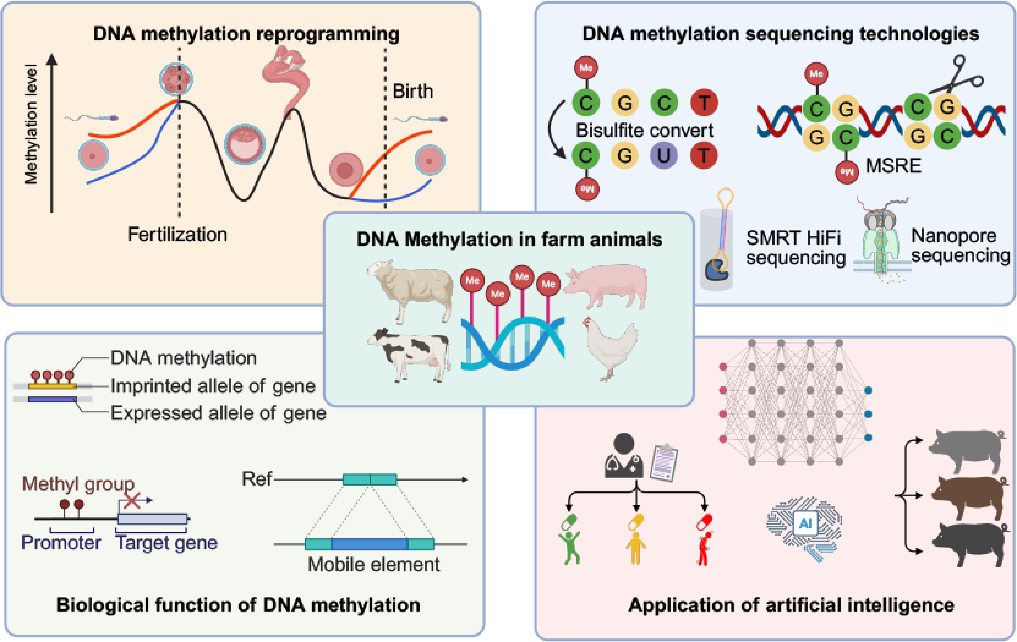 Beyond genomics to epigenomics emerging frontiers of DNA methylation in ...