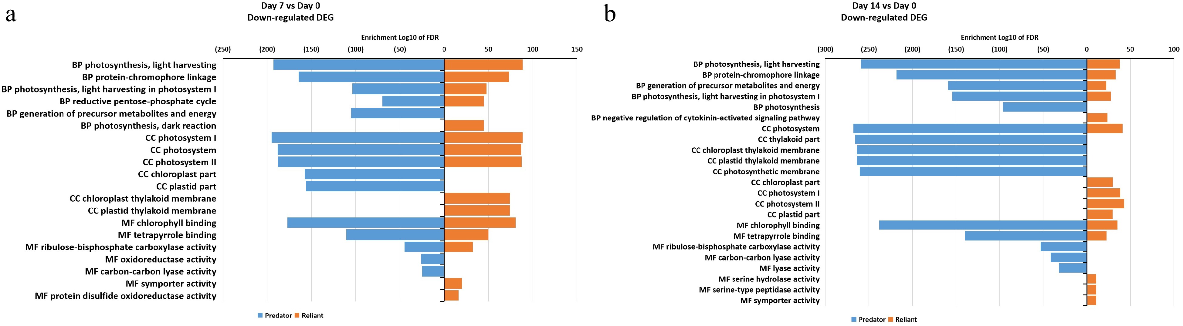 Comparative transcriptomics and gene network analysis revealed ...