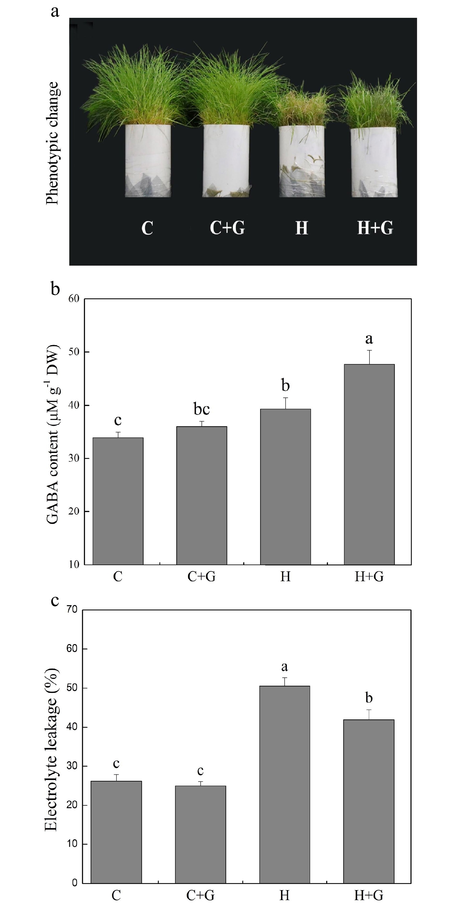 Regulation of nutrient accumulation by γ-aminobutyric acid associated ...