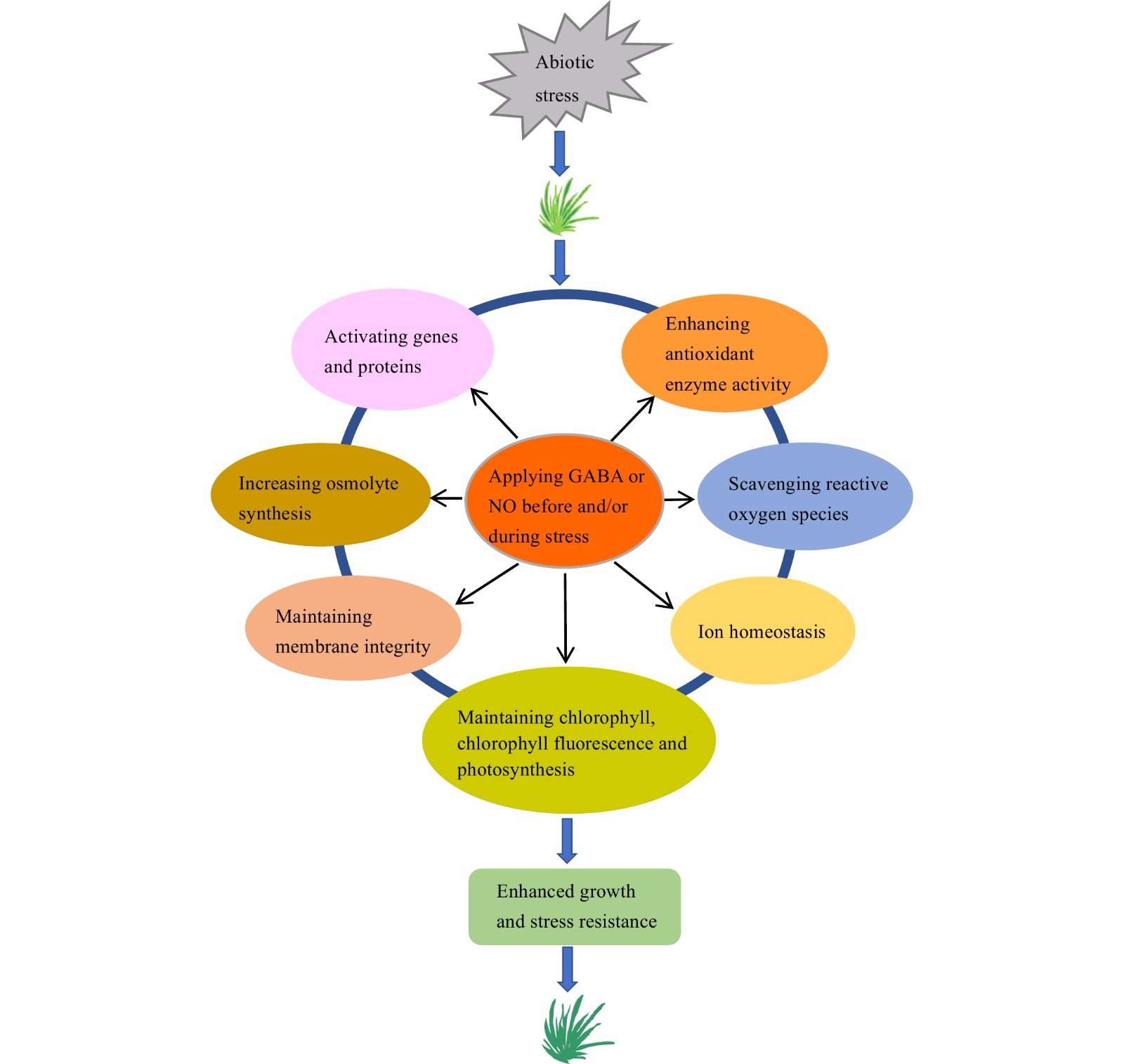 Application of gamma-aminobutyric acid and nitric oxide on turfgrass ...
