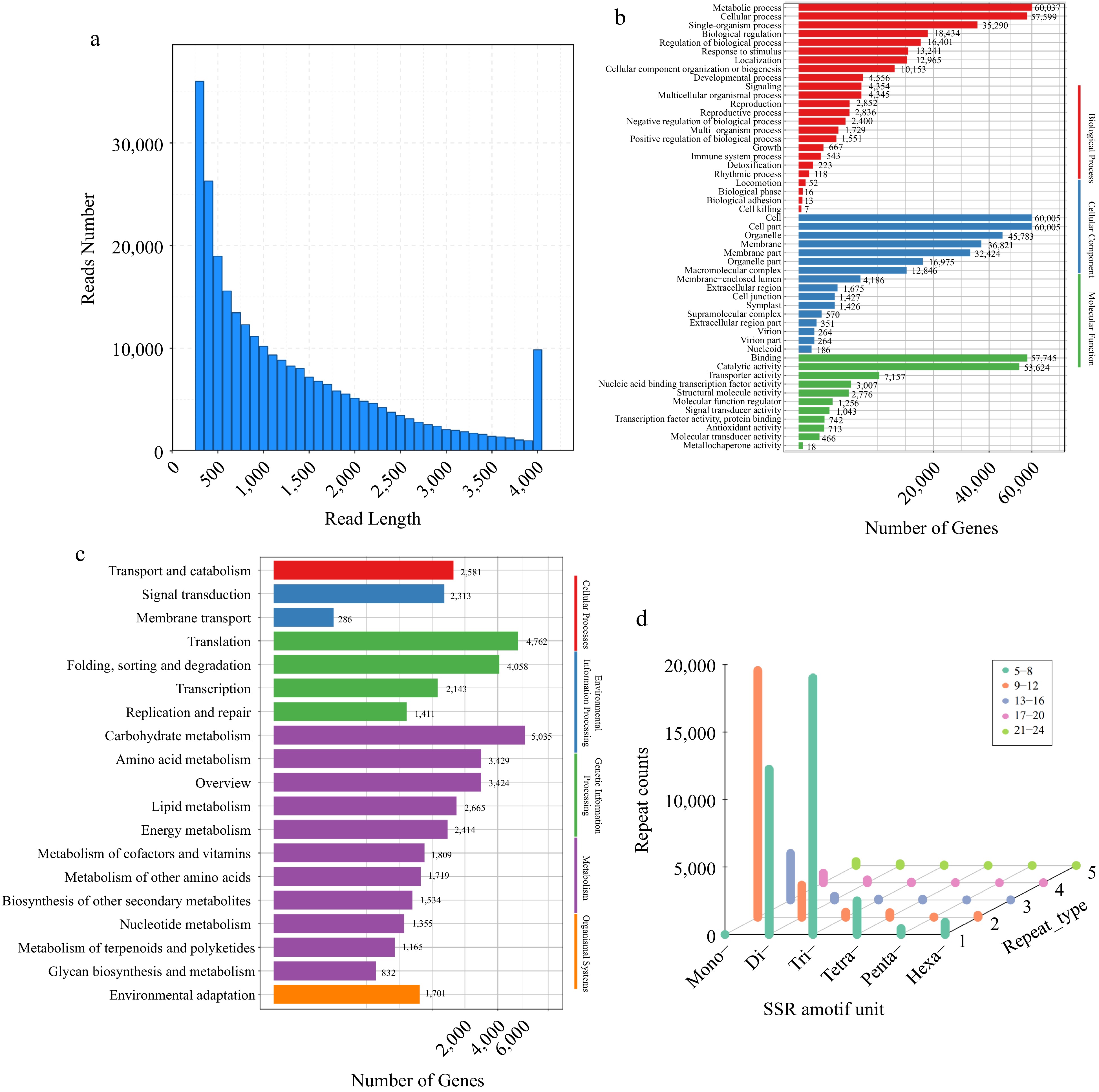 Transcriptomic sequencing analysis, development, and validation of EST-SSR markers in reed ...