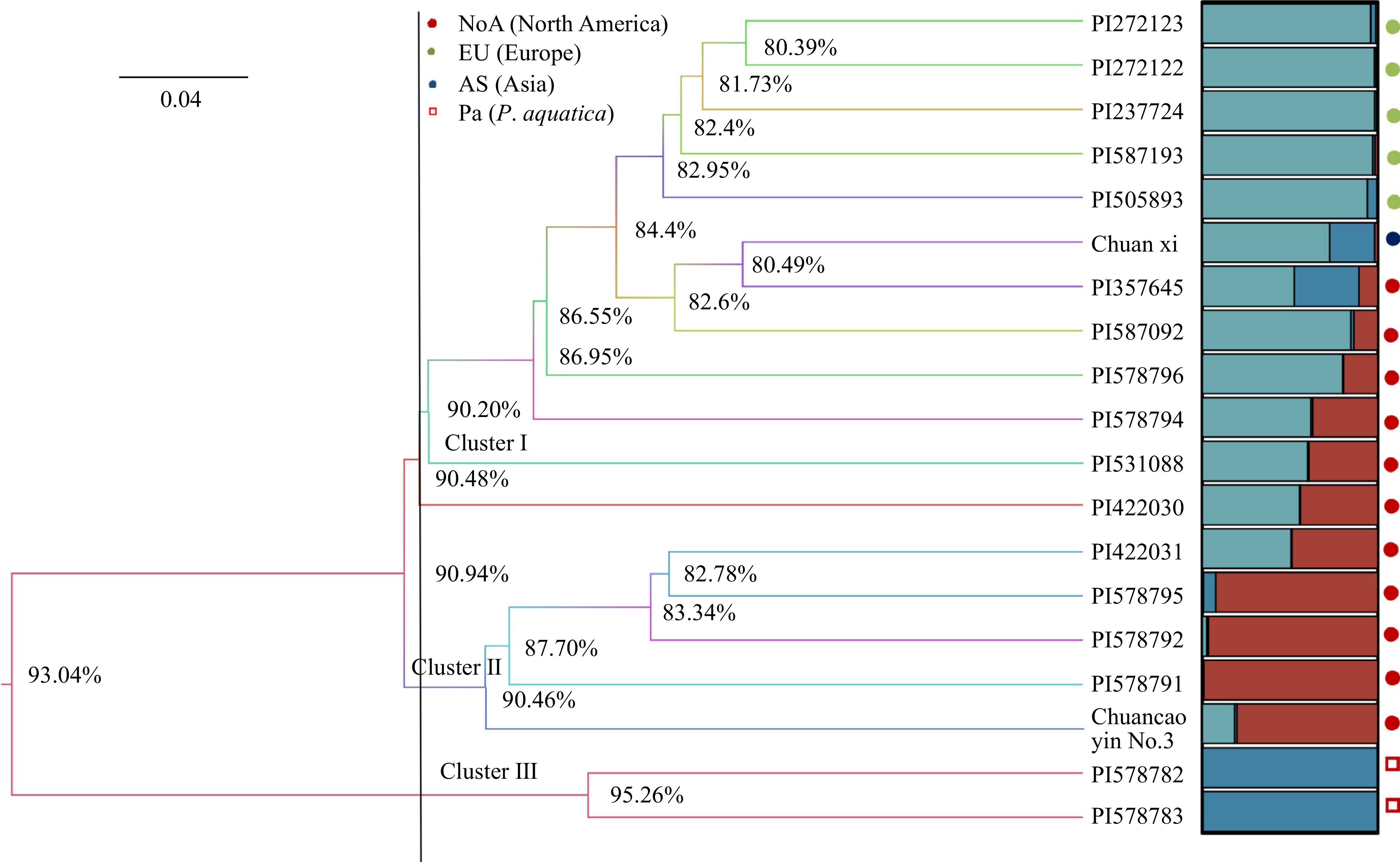 Transcriptomic sequencing analysis, development, and validation of EST-SSR markers in reed ...