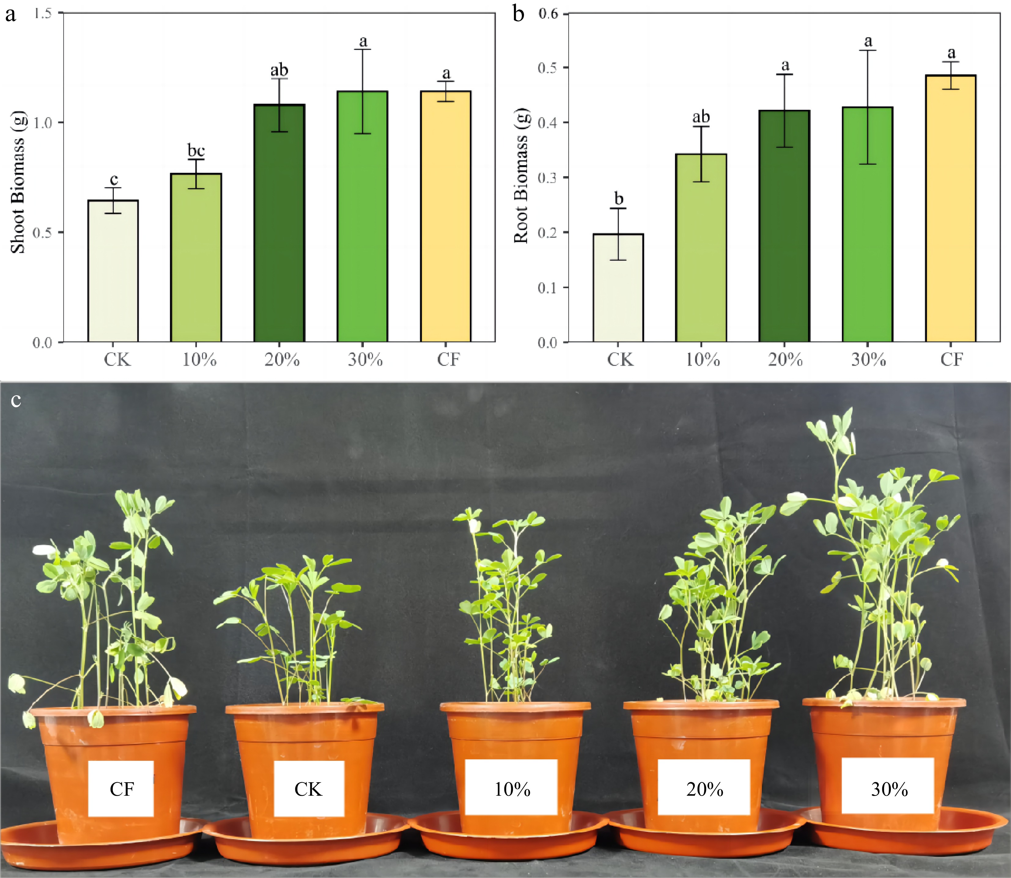 The addition of spent oyster mushroom substrates has positive effects ...