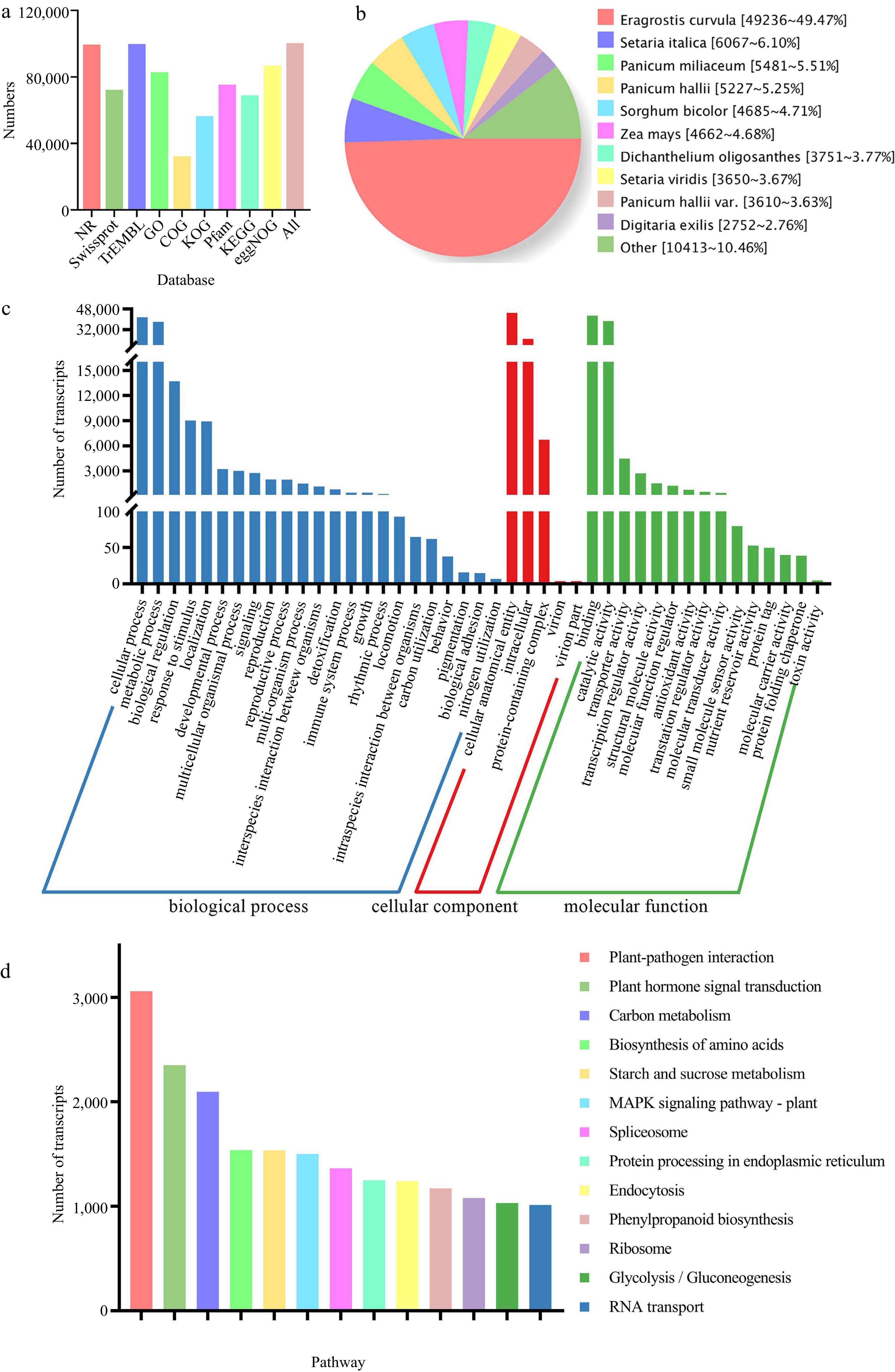 Integration Analysis Of Full Length Transcriptomics And Metabolomics