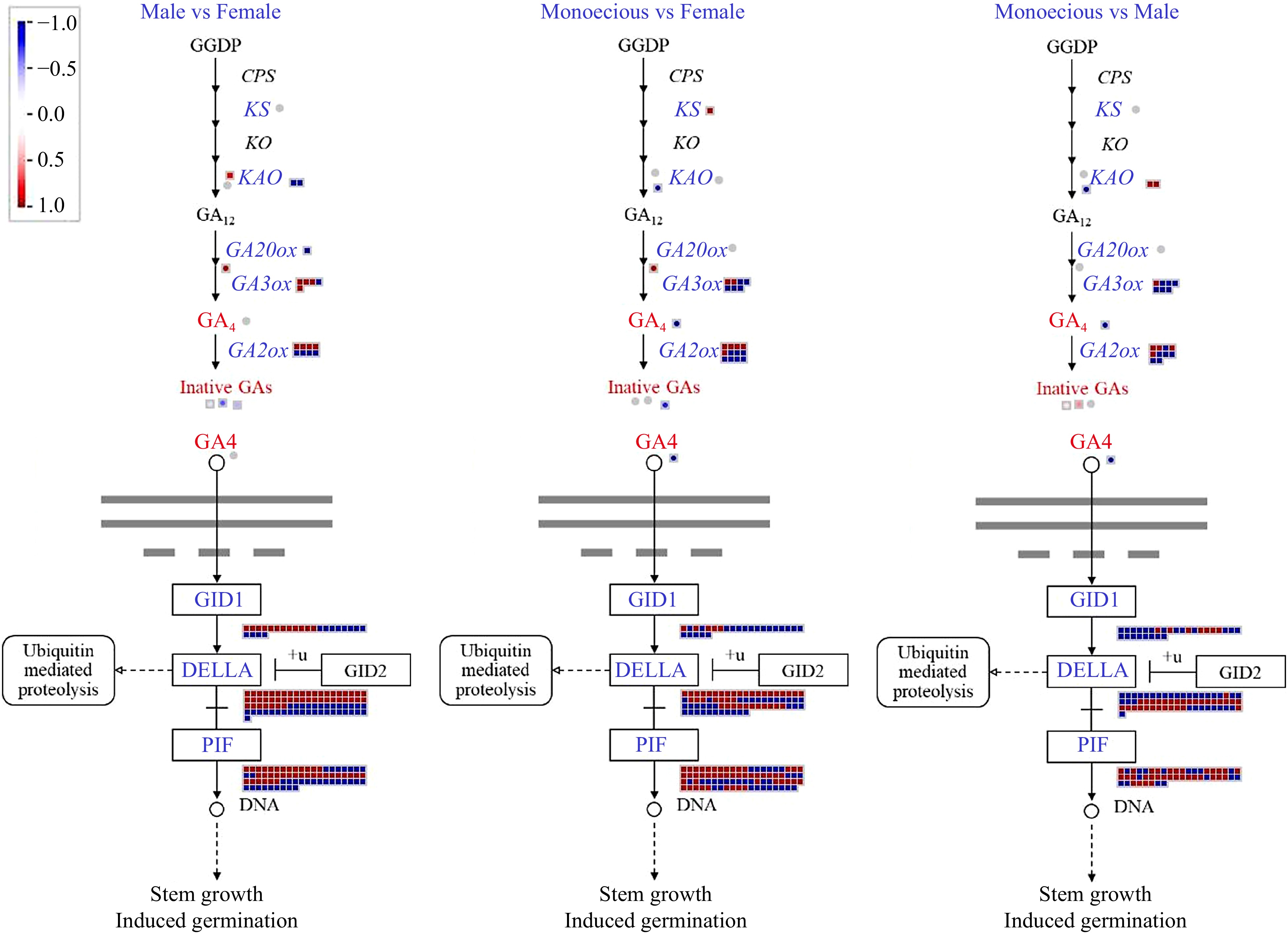 Integration Analysis Of Full Length Transcriptomics And Metabolomics