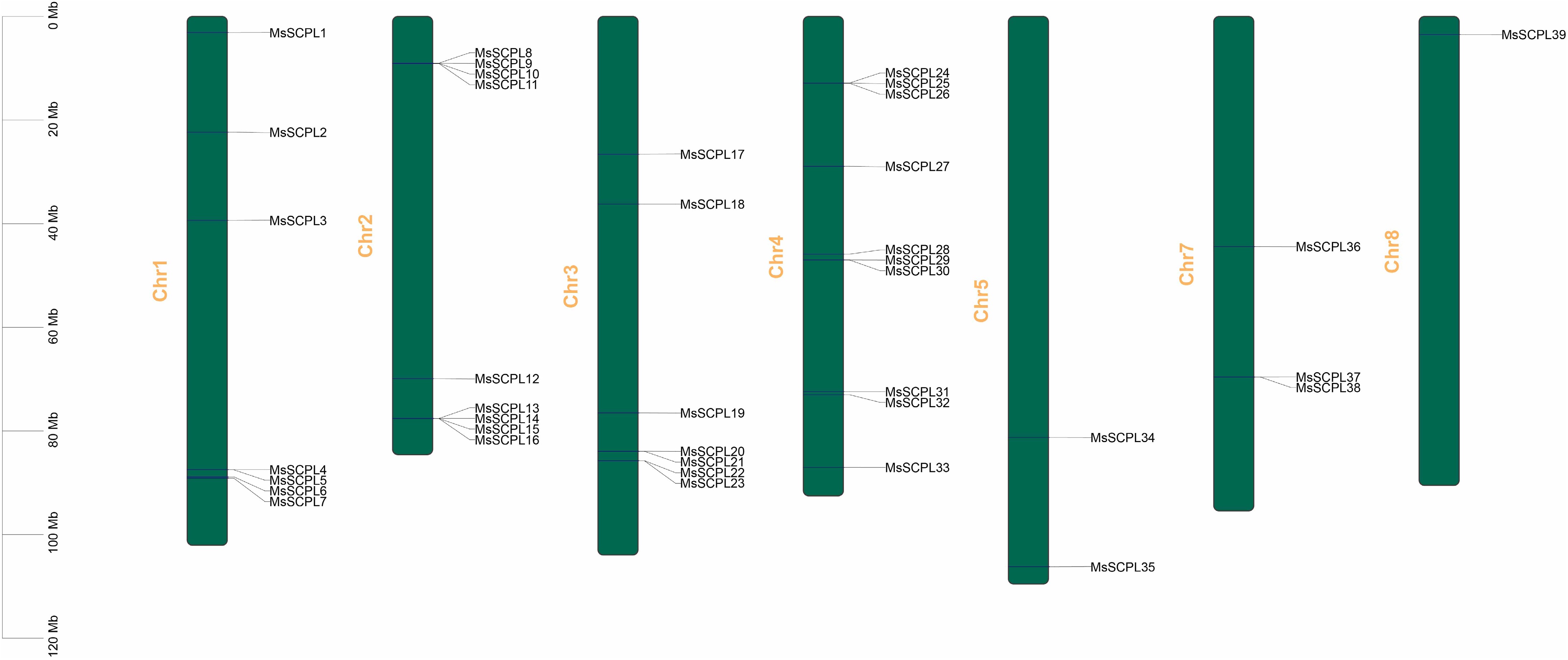 Identification and response to abiotic stress of the alfalfa serine ...