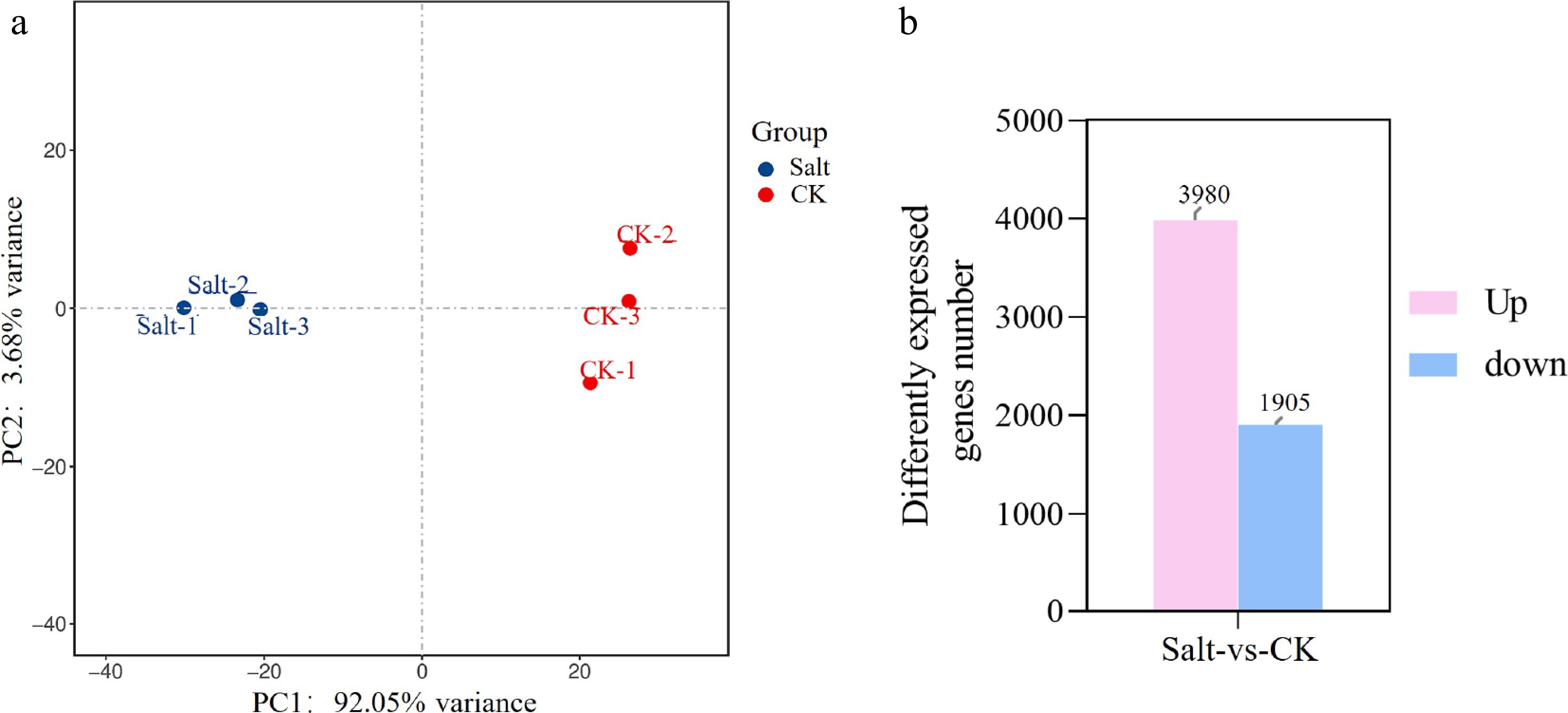 Physiological and transcriptome analyses reveal key responses of ...