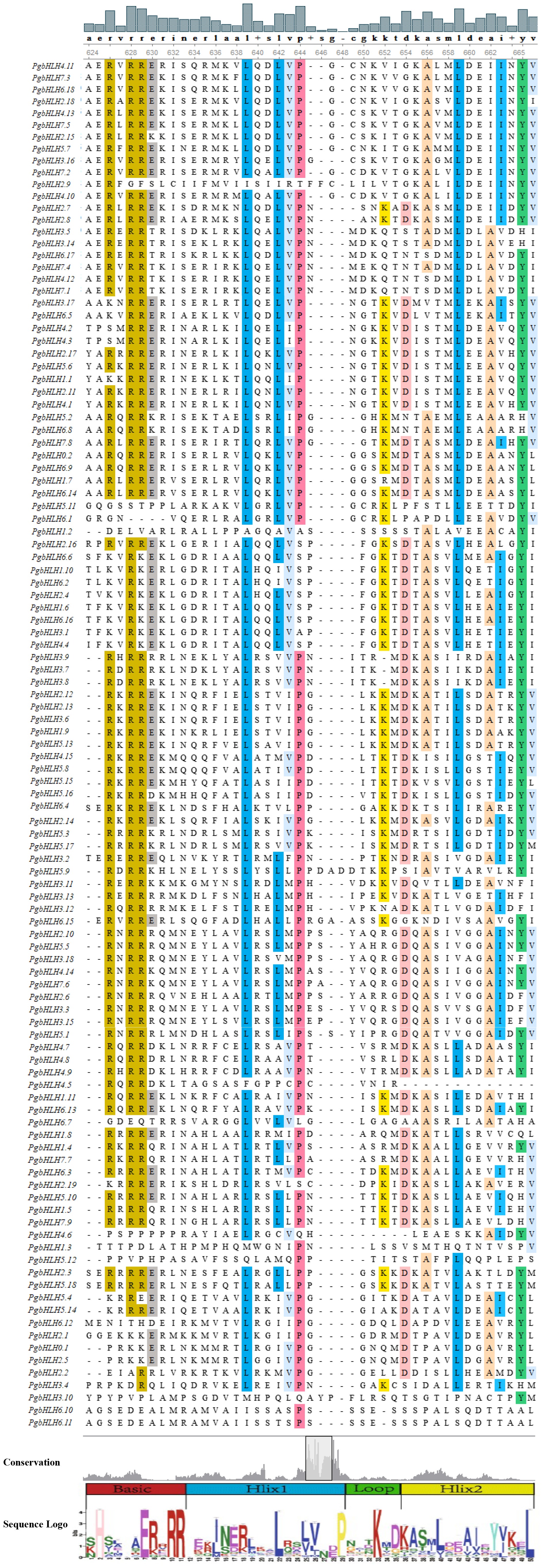 Genome-wide identification, evolution, and expression profiling of bHLH ...
