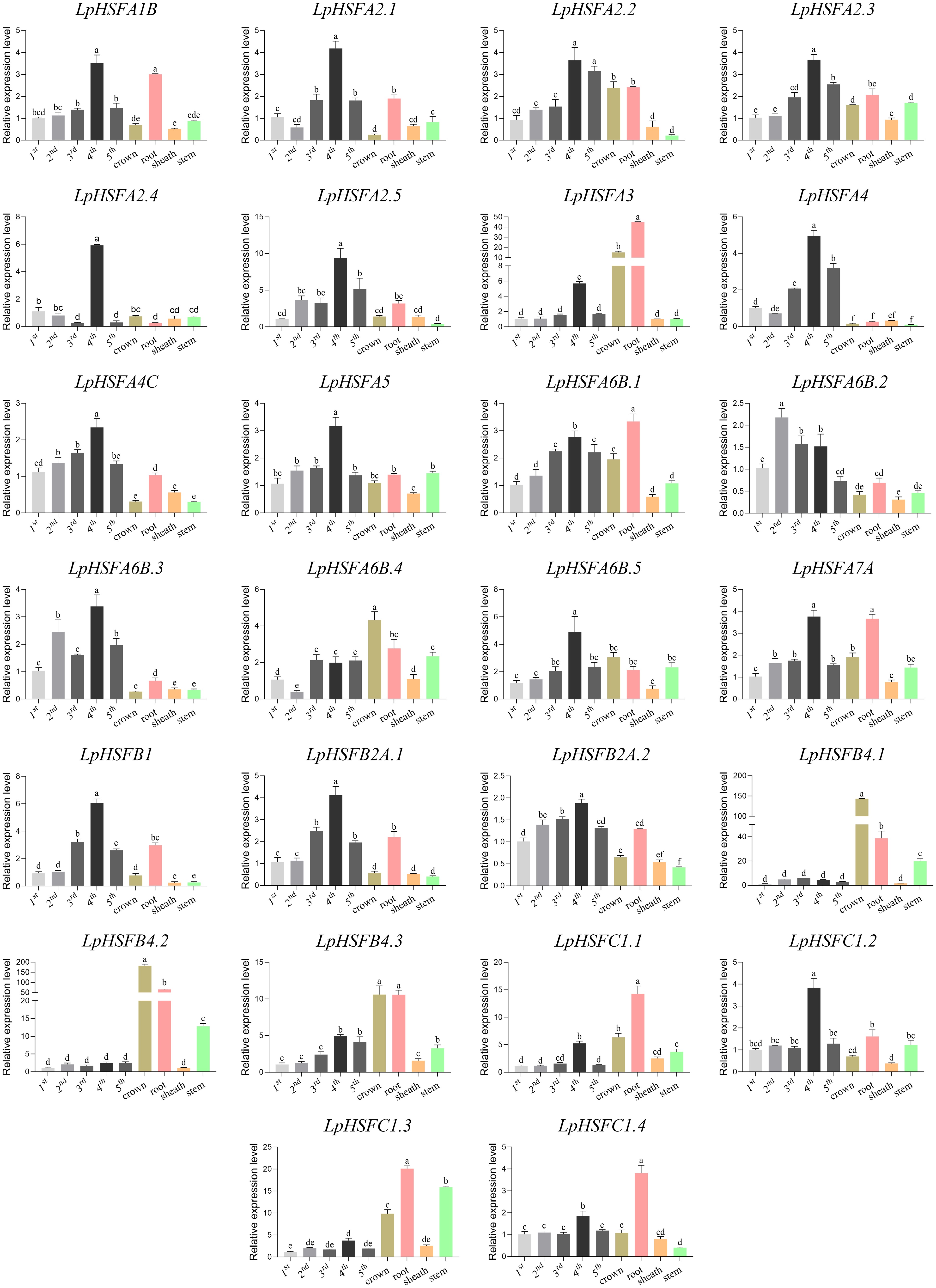 Beyond heat stress the heat shock factor family orchestrates ...