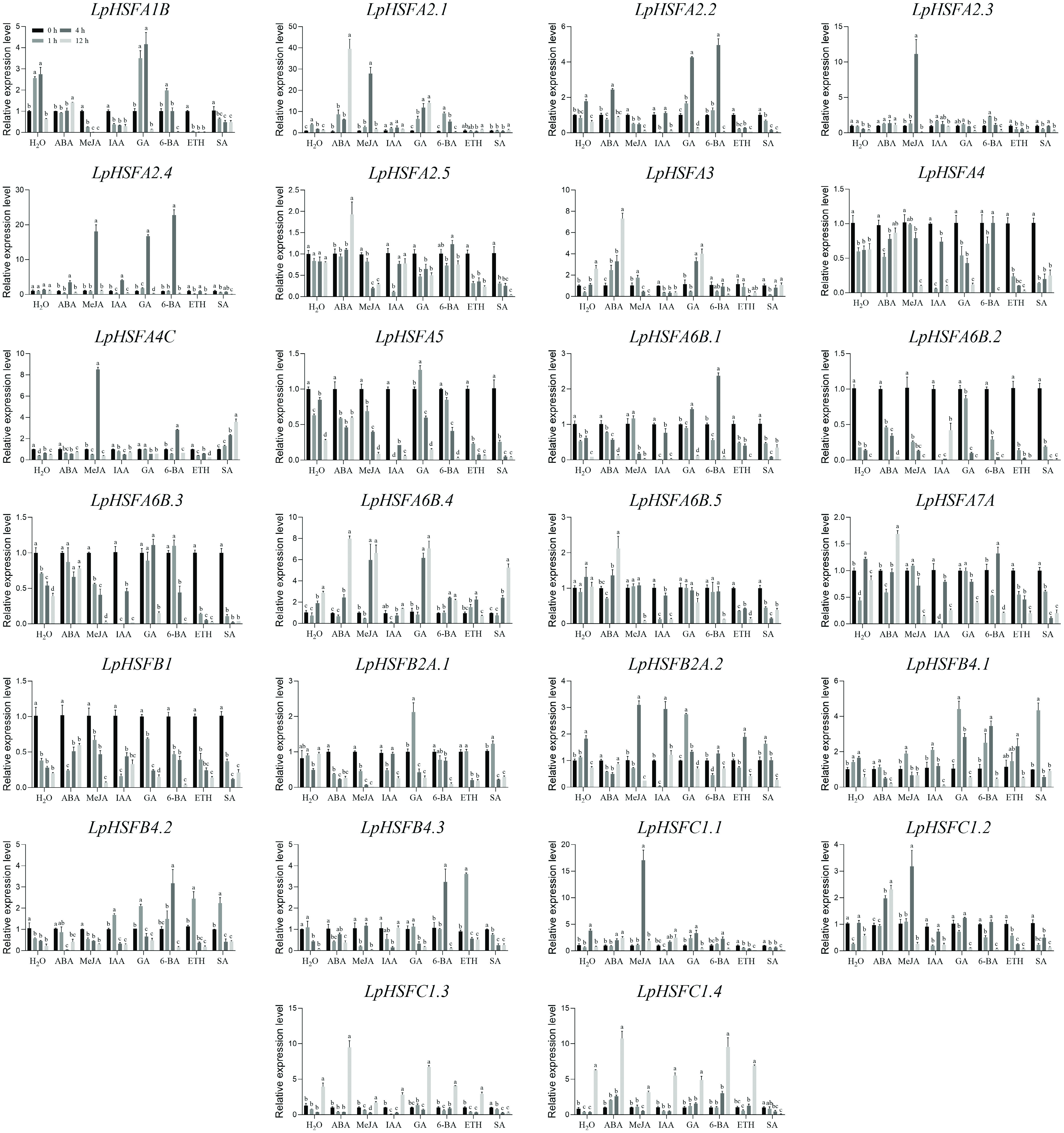 Beyond heat stress the heat shock factor family orchestrates ...