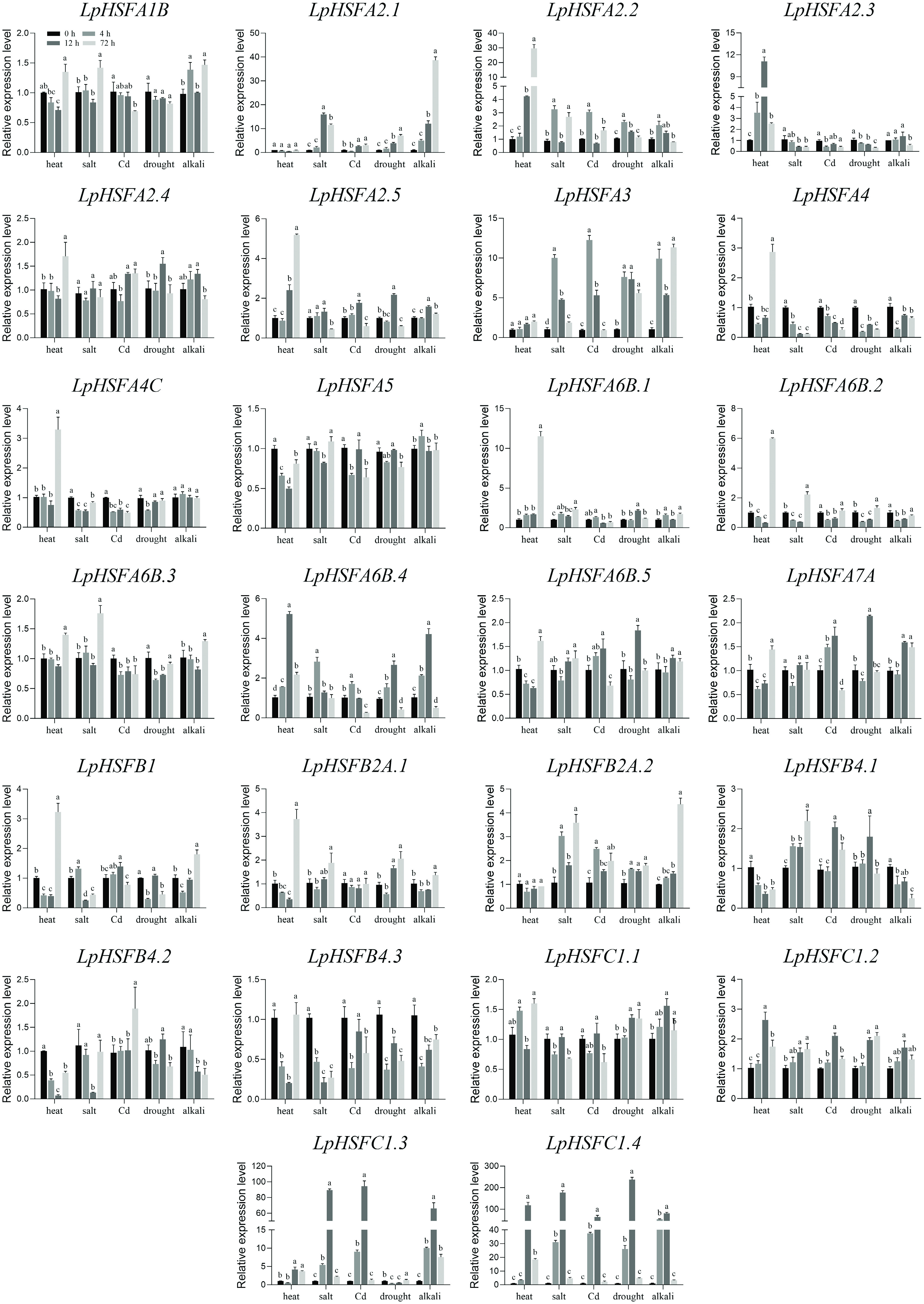 Beyond heat stress the heat shock factor family orchestrates ...
