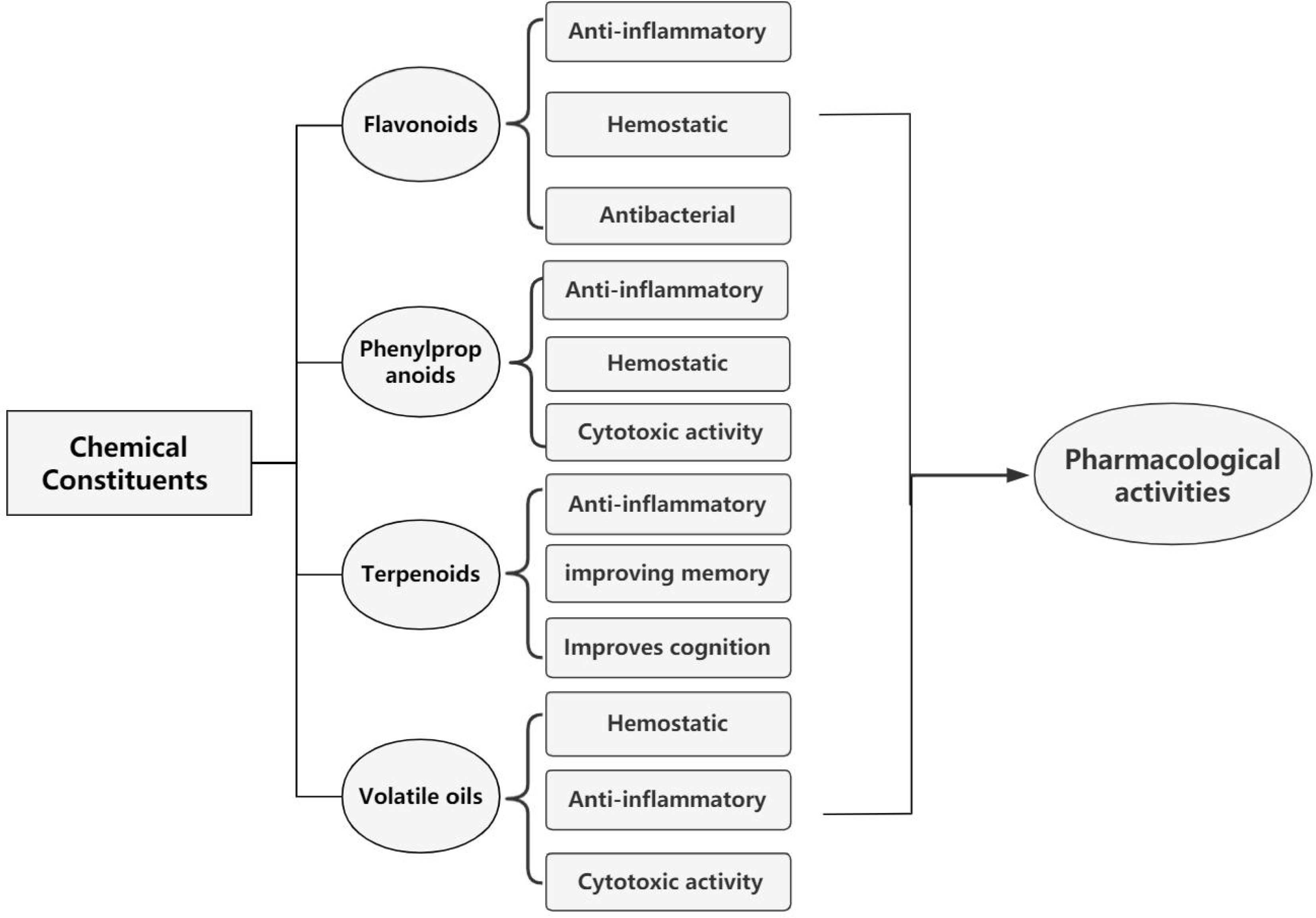 Phytochemistry, bioactivities, and future prospects of Callicarpa ...