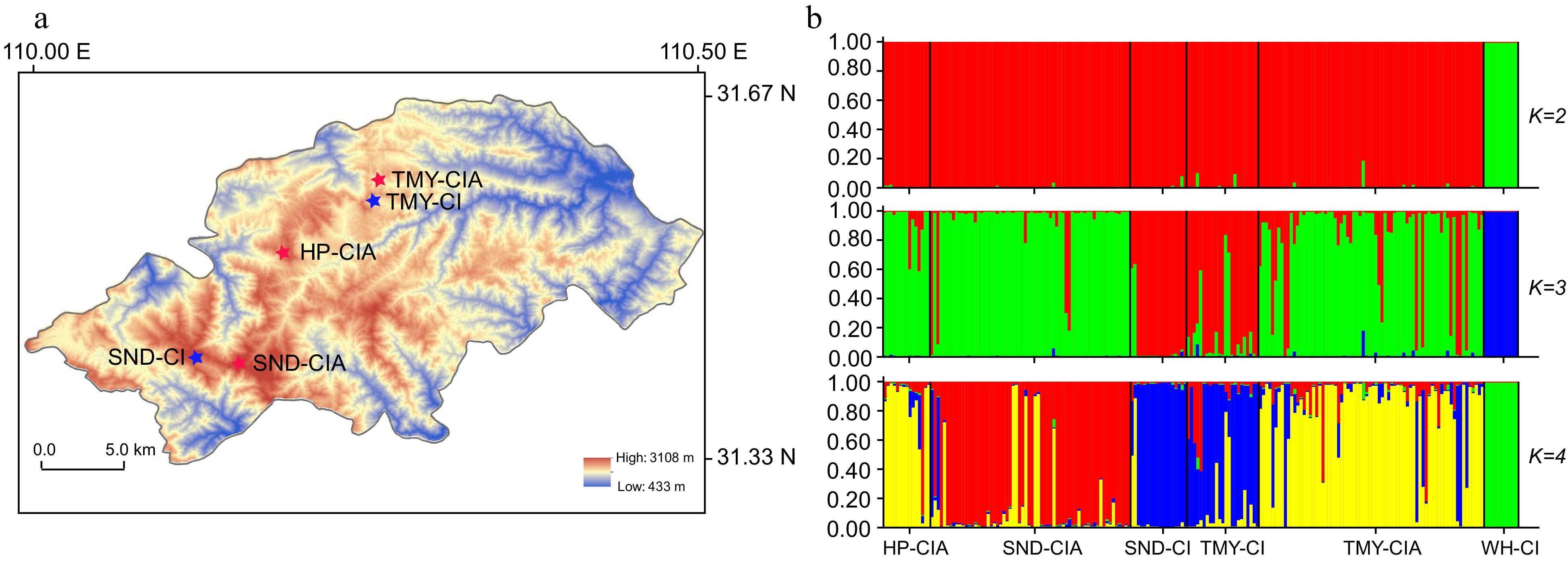 Phylogeny, genetics and ecological adaptation of the Chrysanthemum ...