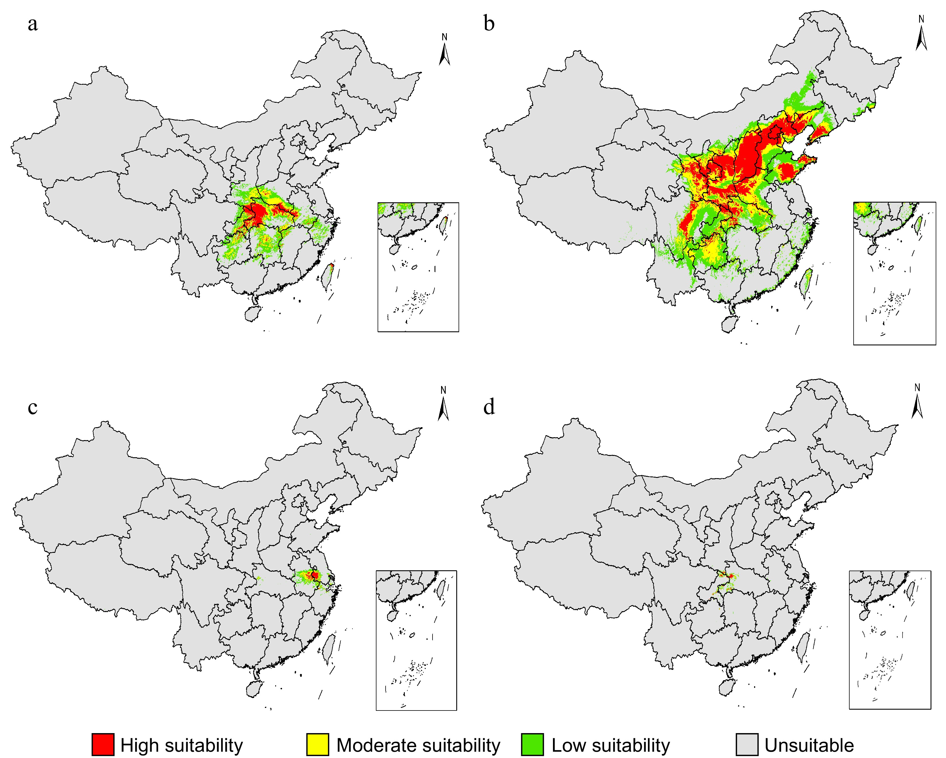 Phylogeny, genetics and ecological adaptation of the Chrysanthemum ...