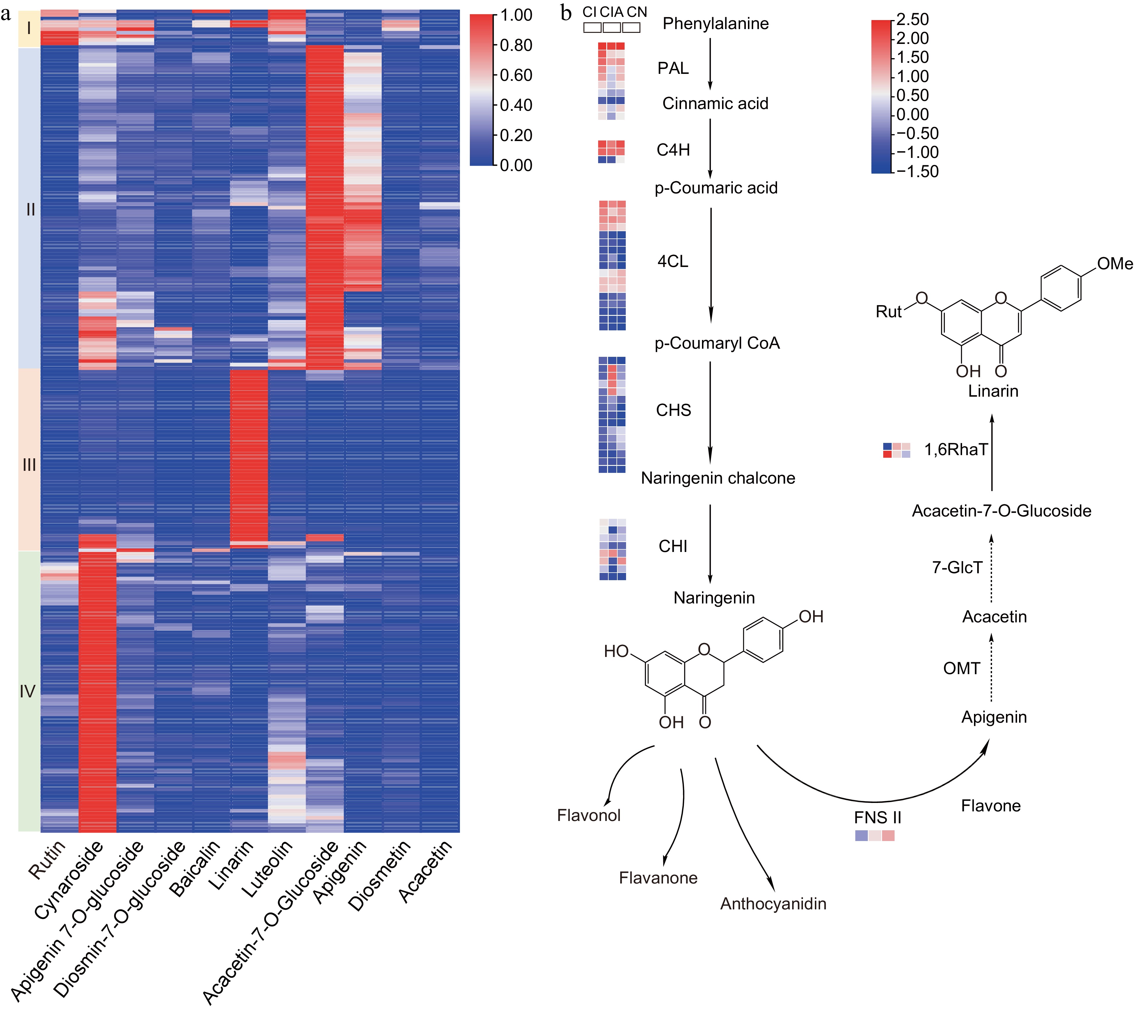 Phylogeny, genetics and ecological adaptation of the Chrysanthemum ...