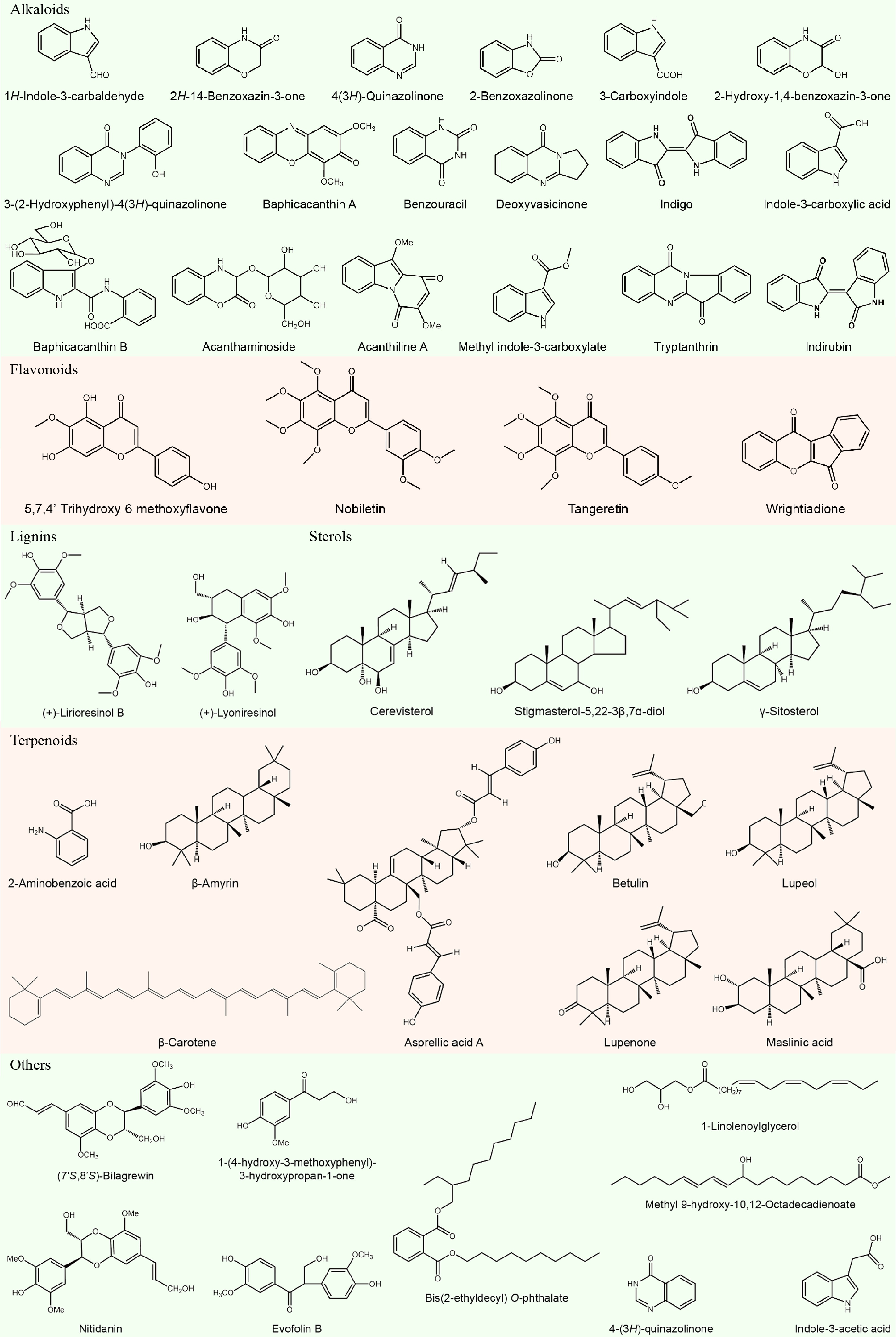 Advances and perspectives in chemical and biological studies of ...