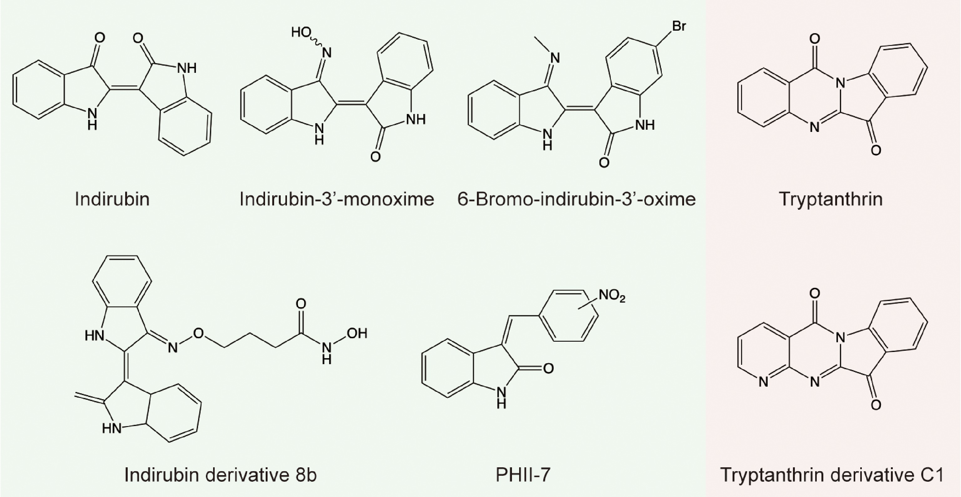 Advances and perspectives in chemical and biological studies of ...