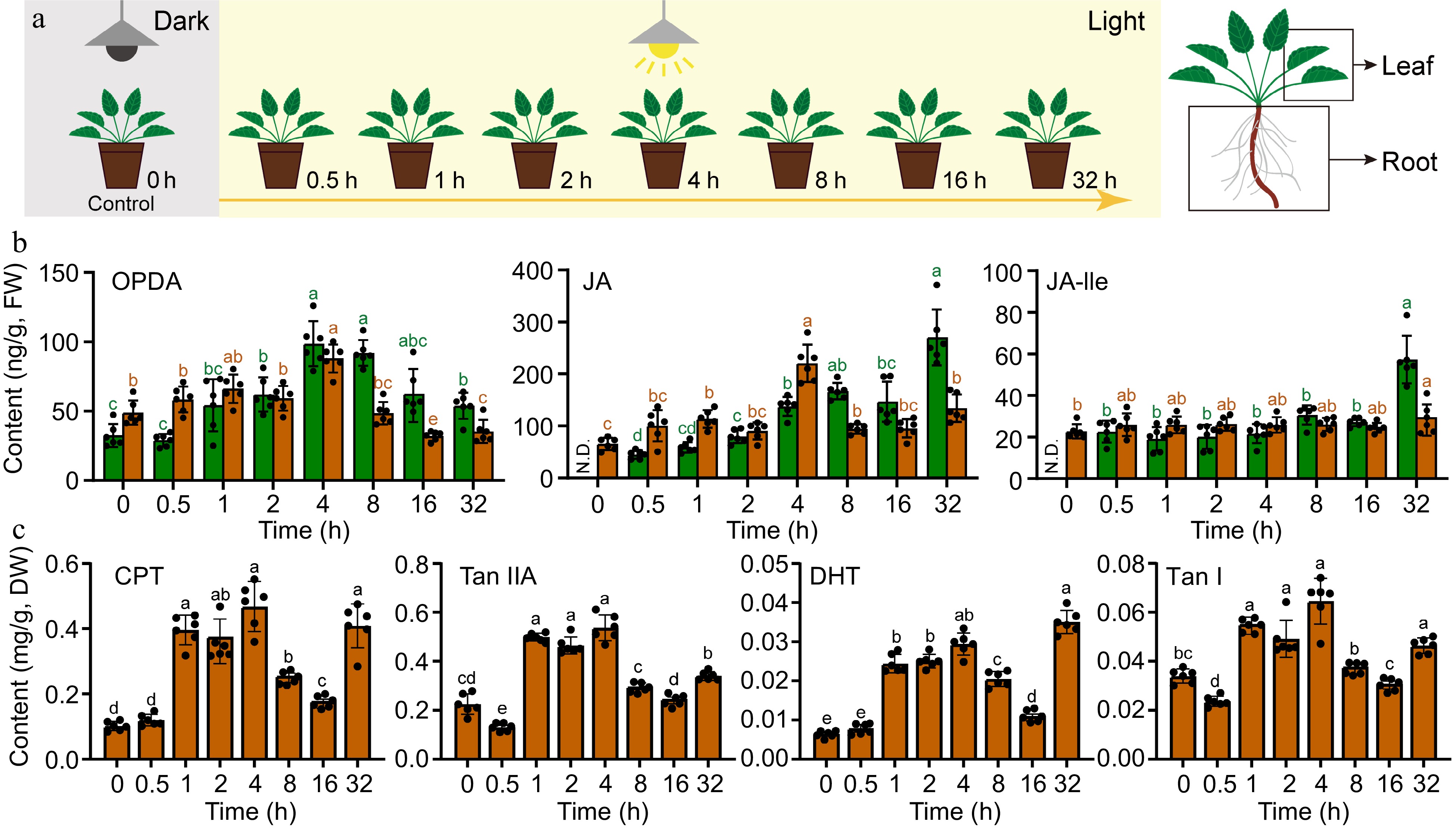 Transcriptome and yeast two-hybrid sequencing shed light on the ...